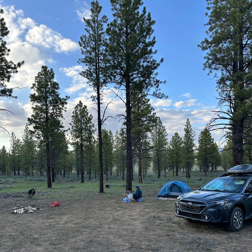 Toms Best Spring Road - Dispersed Camping | Panguitch, UT