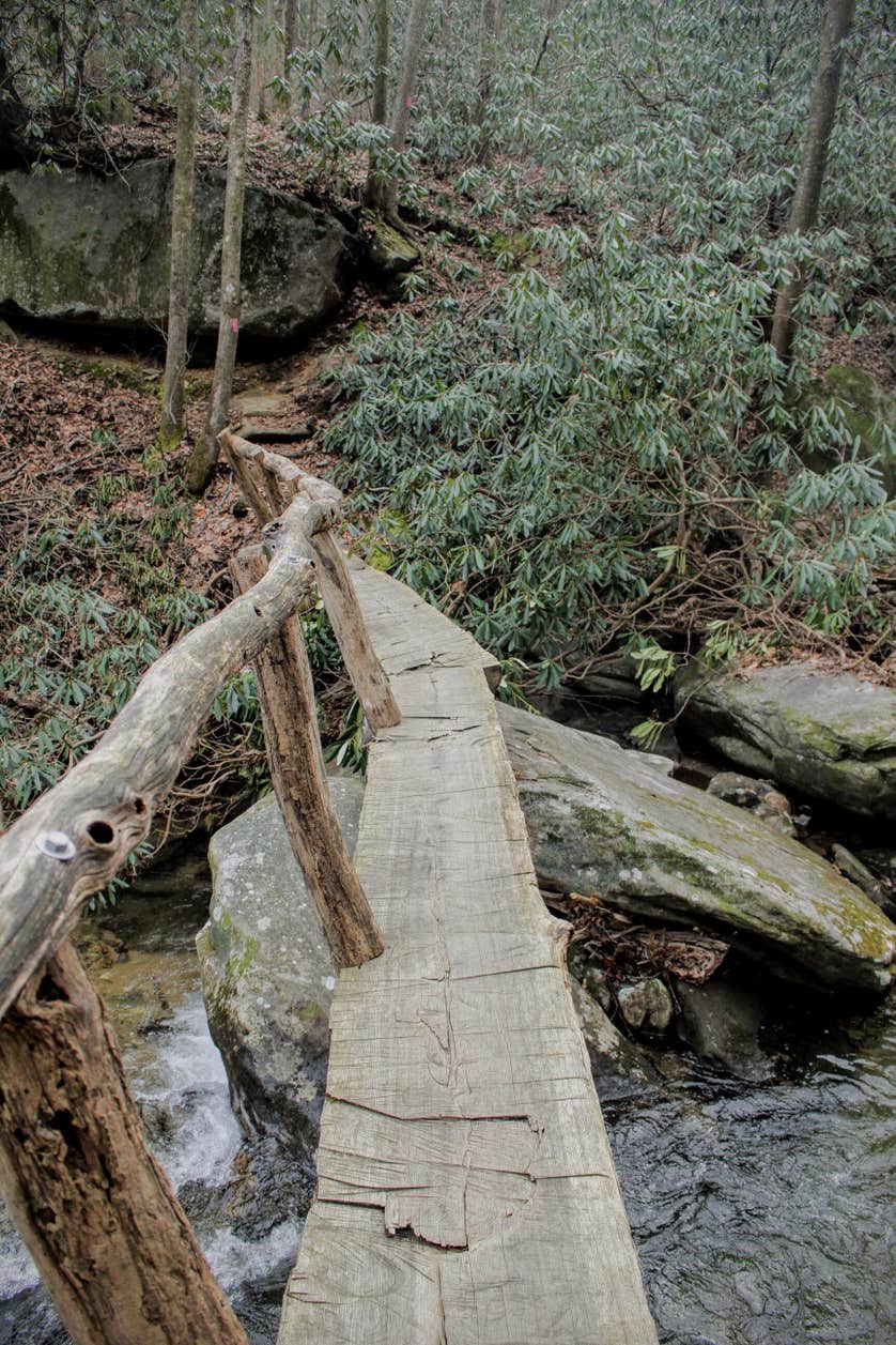 Caesars Head State Park / Mountain Bridge Wilderness Area | The Dyrt