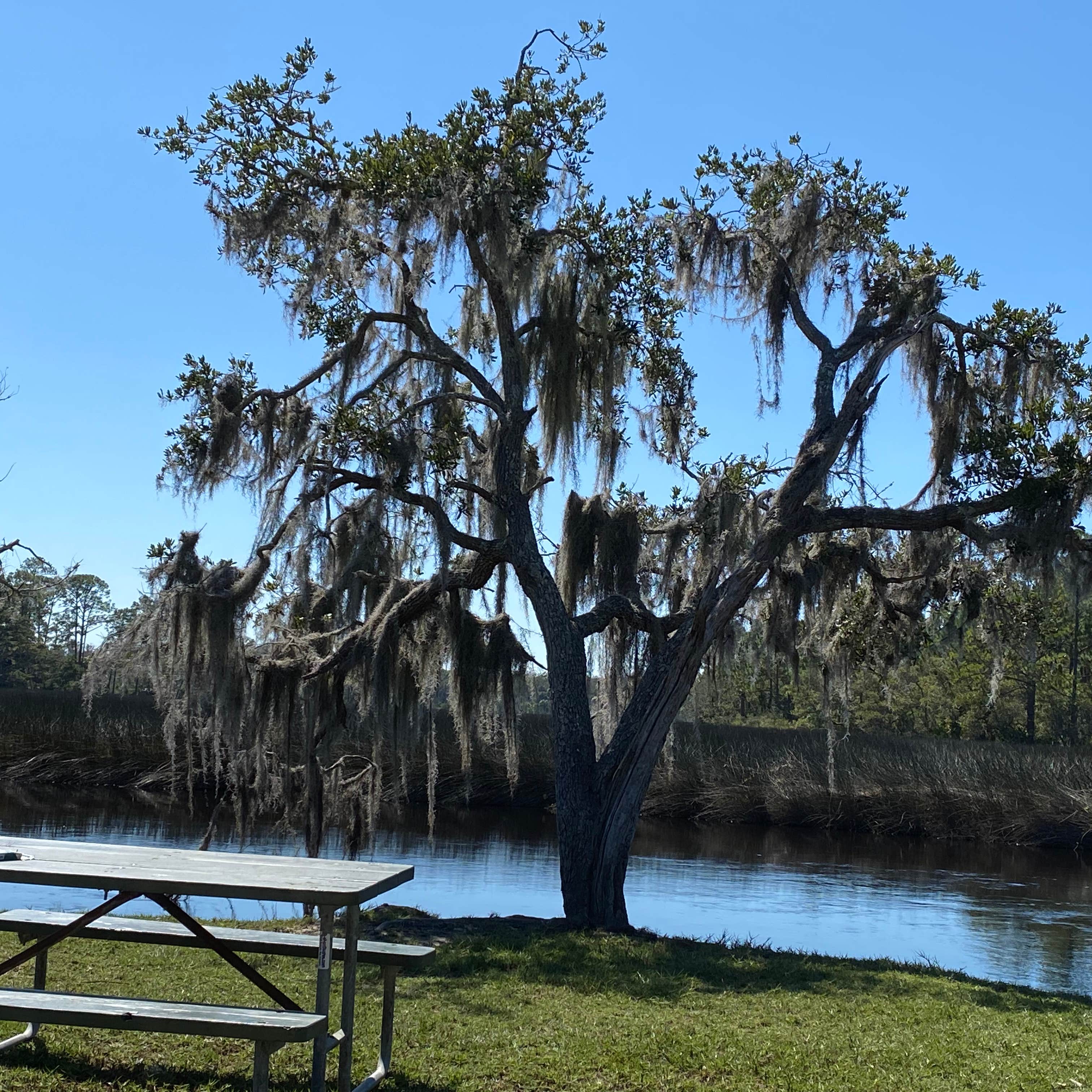 Princess Place Preserve - Moody Campground Camping | The Dyrt