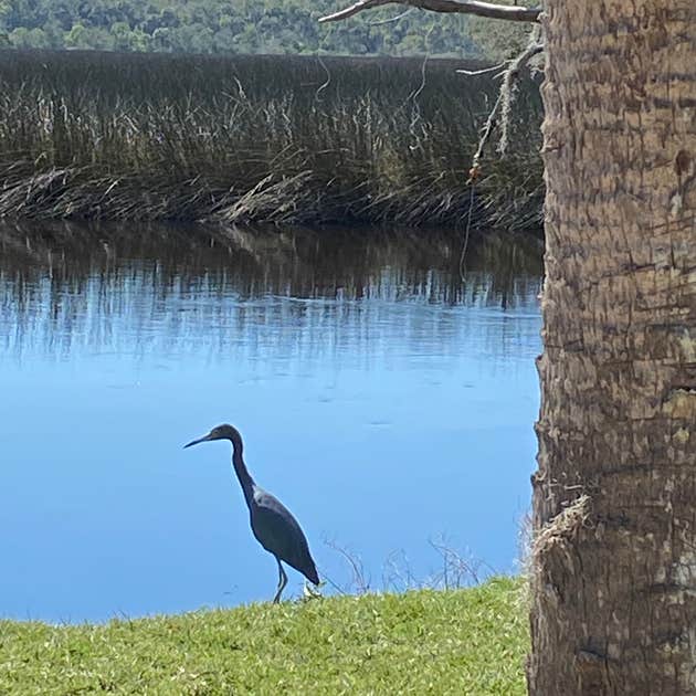 Princess Place Preserve - Moody Campground | Palm Coast, Florida