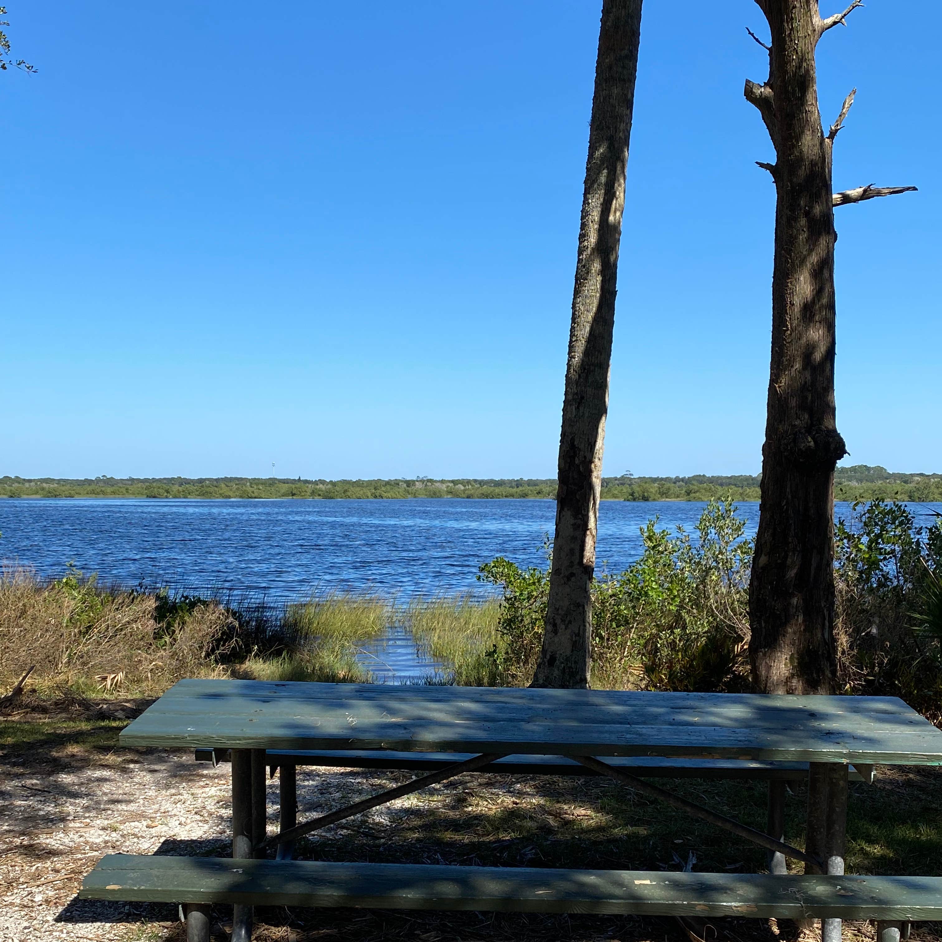 Princess Place Preserve - Moody Campground Camping | The Dyrt