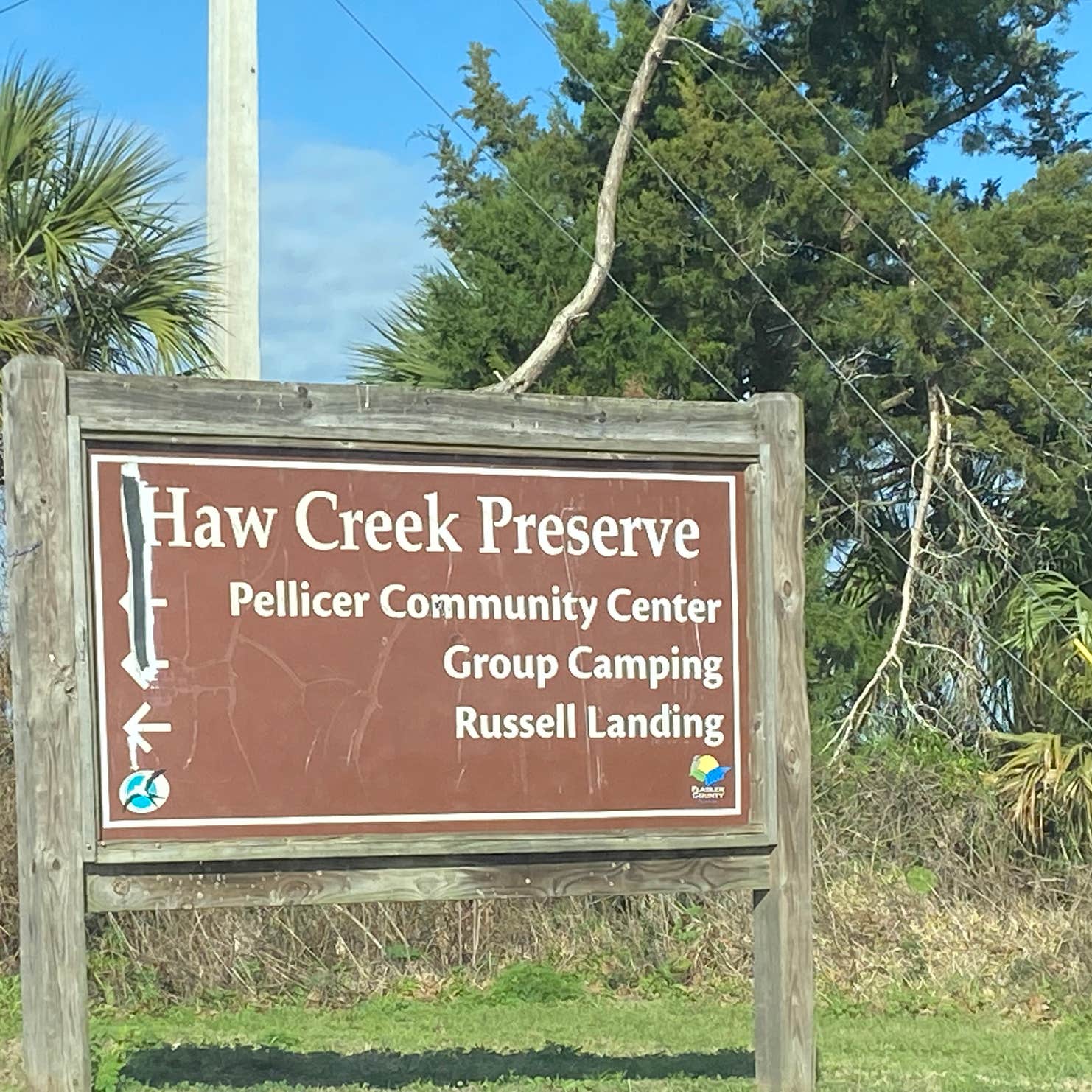 Haw Creek Preserve State Park Dispersed Camping | Bunnell, Florida