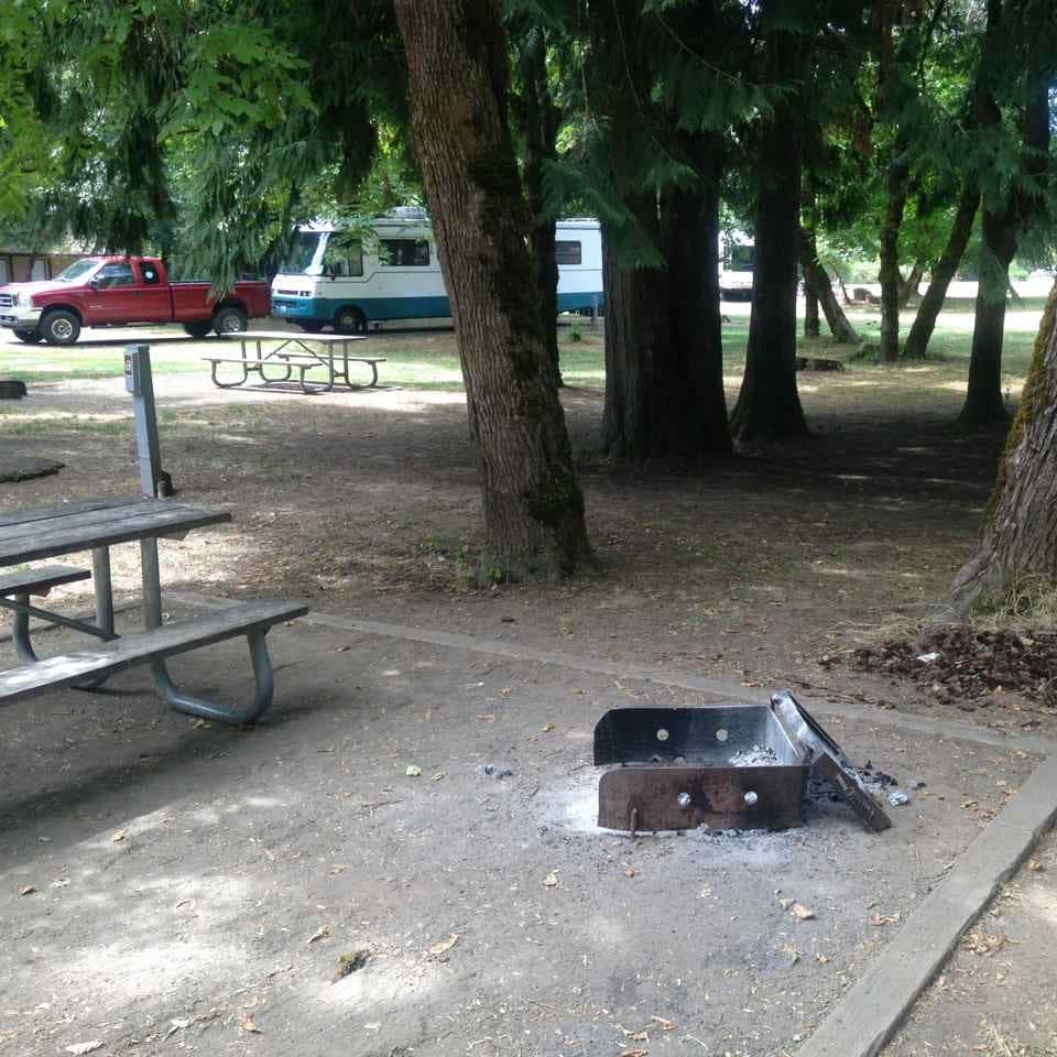 Waterloo County Park Camping | The Dyrt