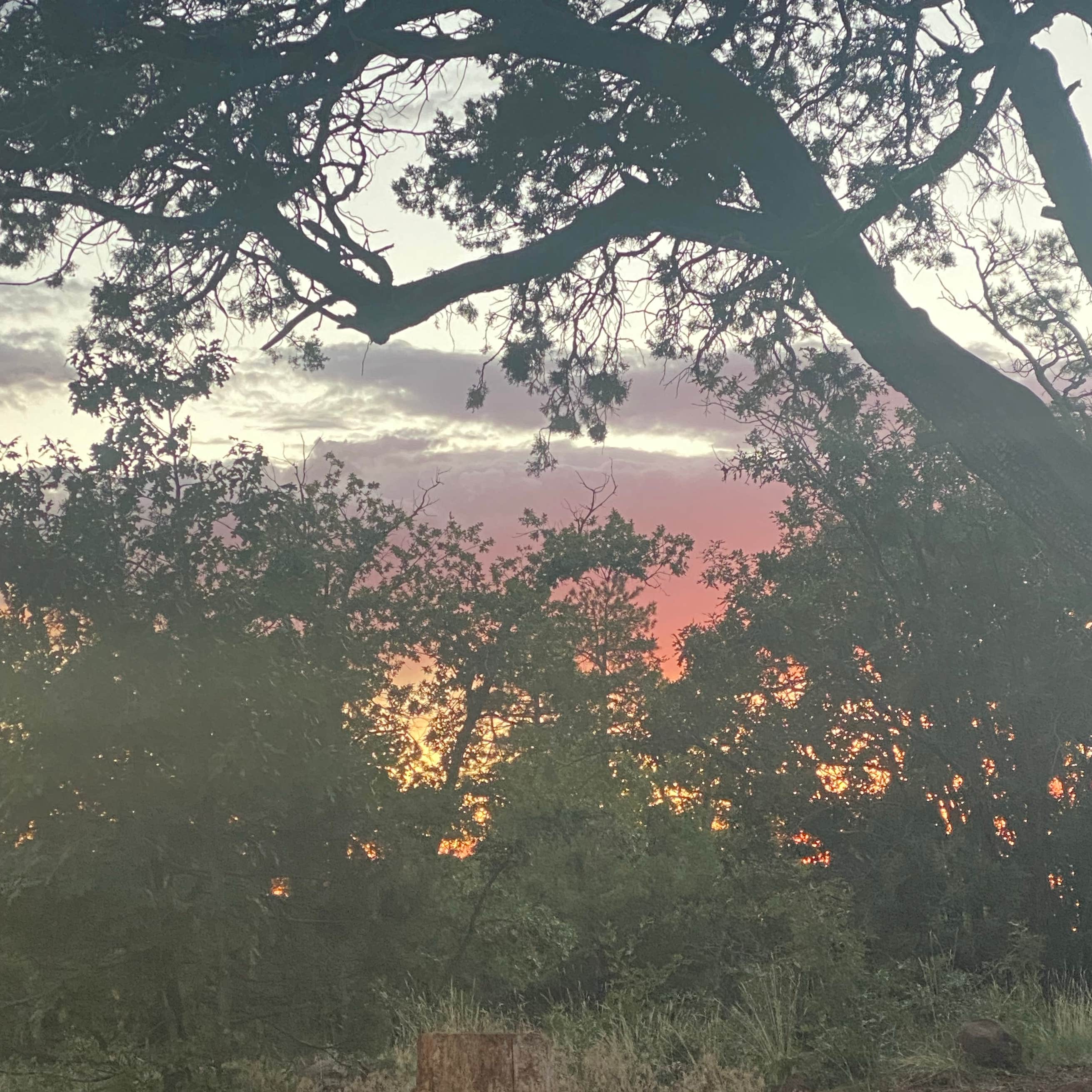 North Mingus Mountain Basecamp on Forest Road 413 | Jerome, Arizona