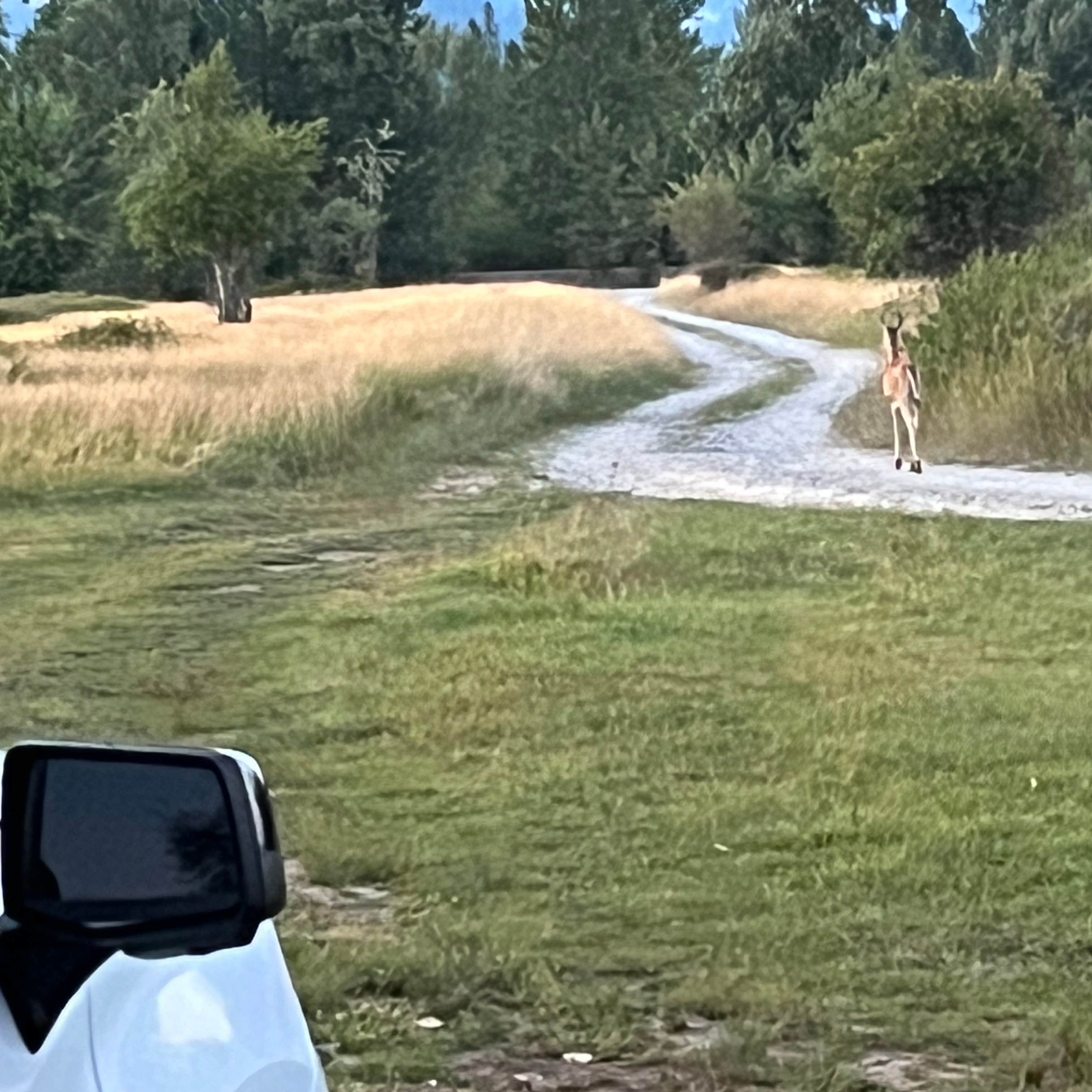 Rose Lake Camping | Cataldo, ID