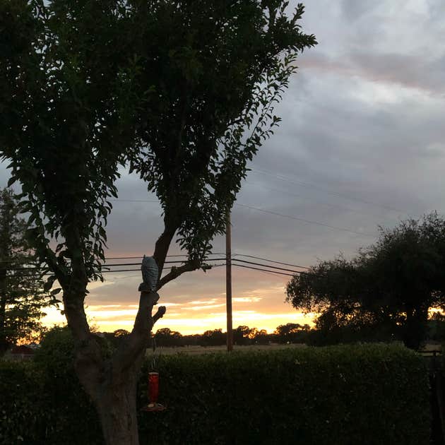 Pardee Reservoir Recreation Area Camping | Ione, California