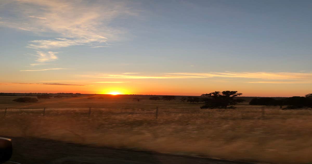 Lake Camanche North Shore Camping | Ione, CA