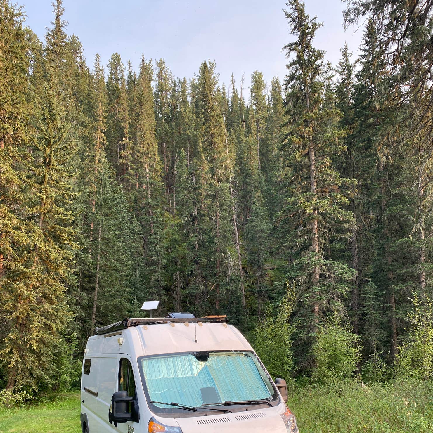 Spring Creek Road Camping | The Dyrt