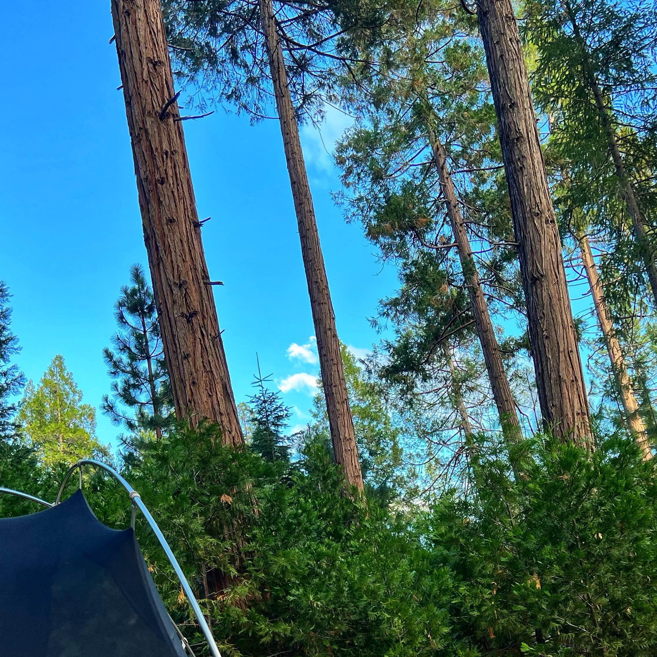 Dimond O Campground | Mather, California