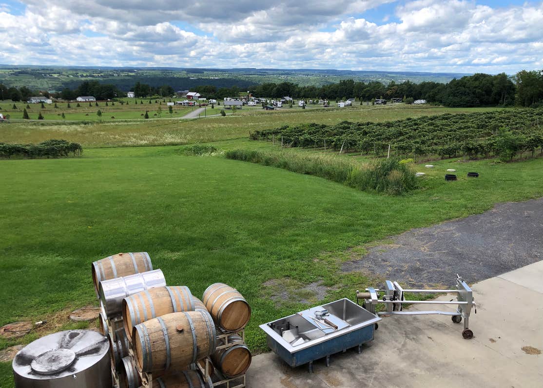 Finger Lakes RV Resort Camping | The Dyrt