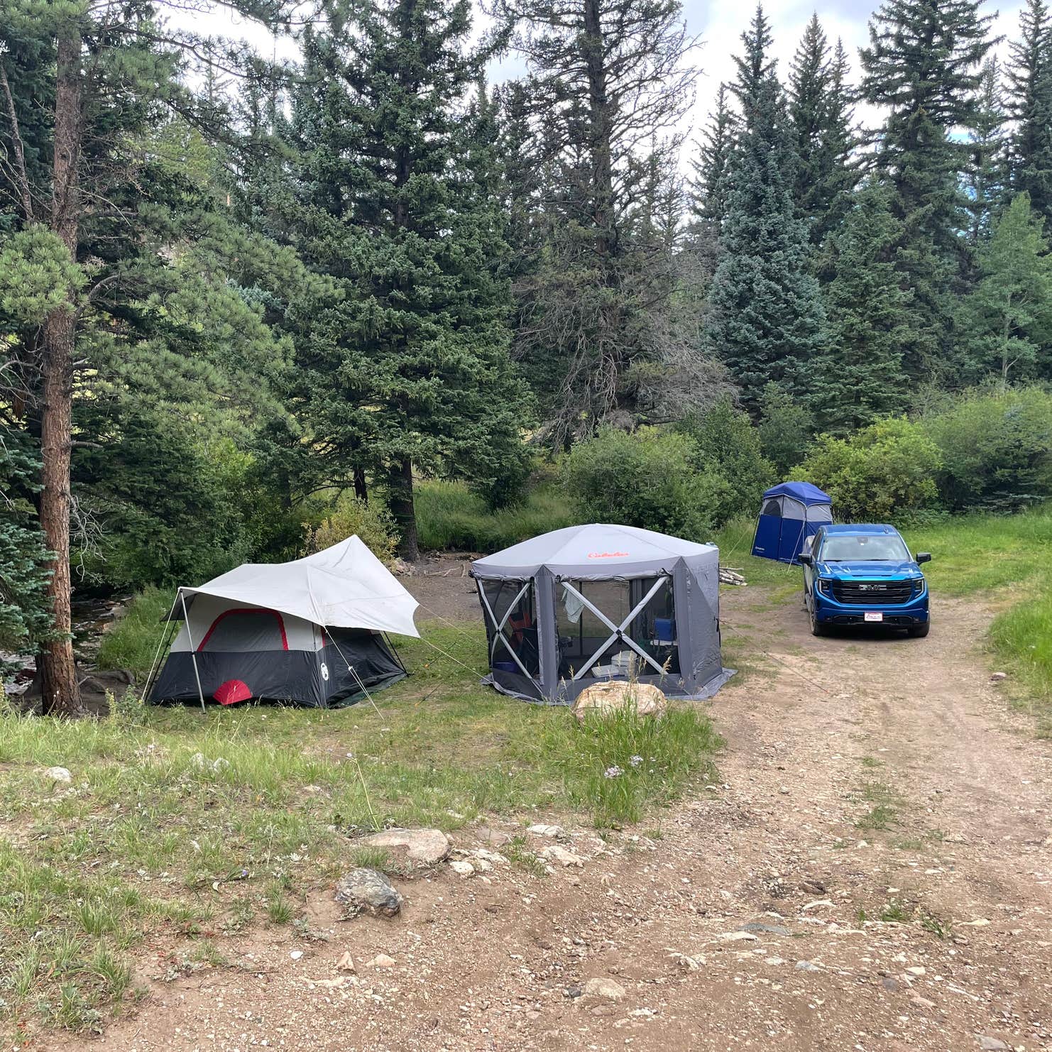 Pingree Road Dispersed Camping Camping | The Dyrt