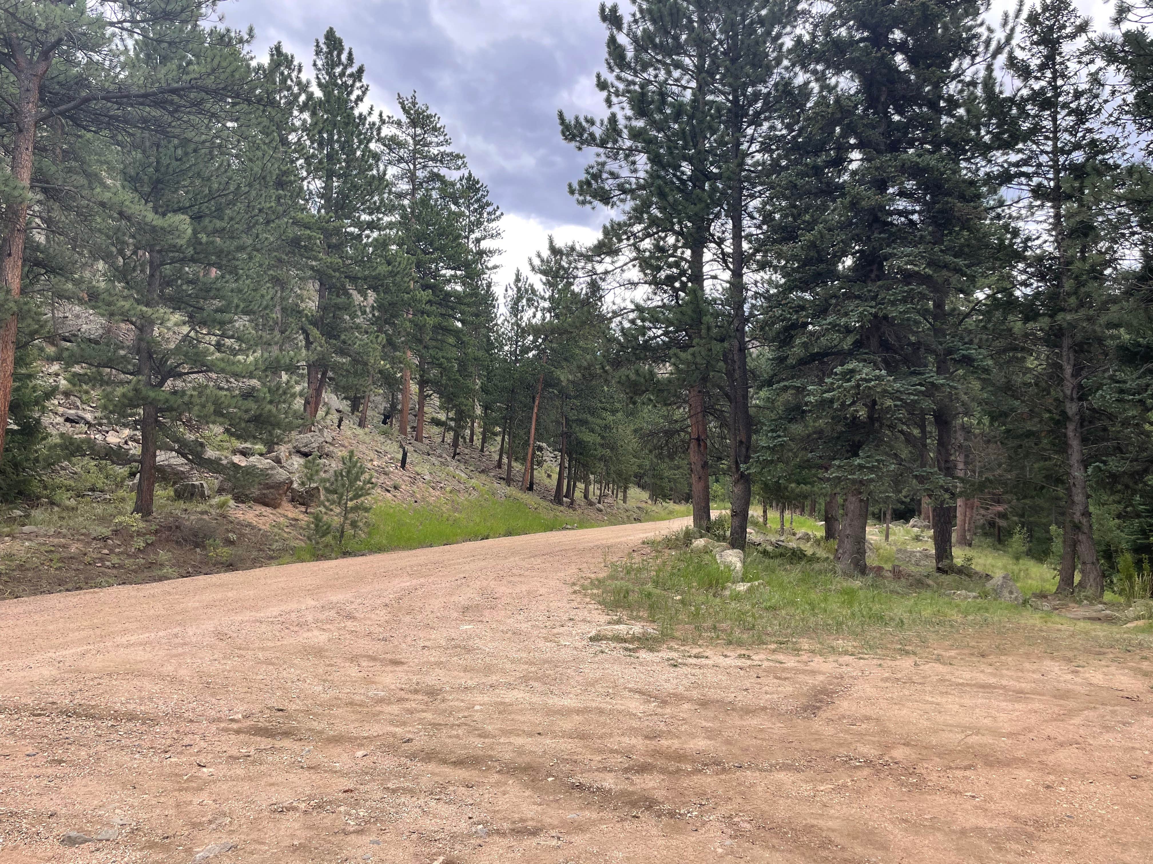 Pingree Road Dispersed Camping | Red Feather Lakes, Colorado