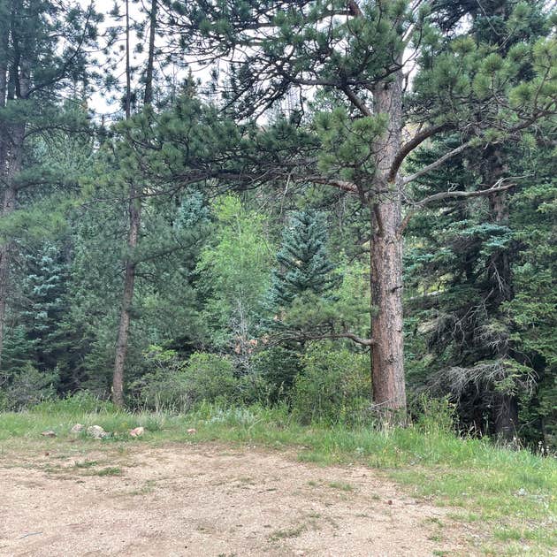 Pingree Road Dispersed Camping Camping | The Dyrt