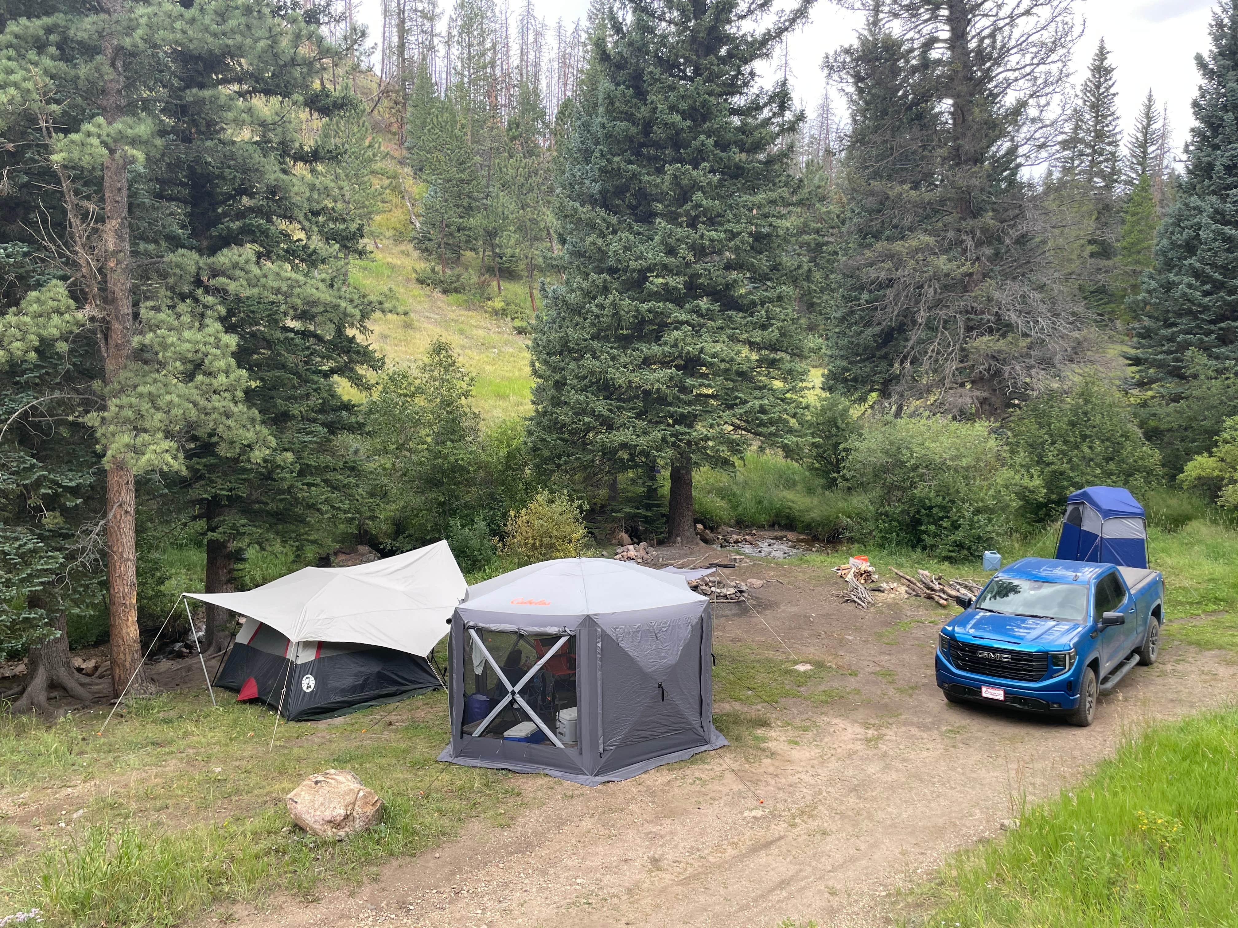 Pingree Road Dispersed Camping | Red Feather Lakes, Colorado
