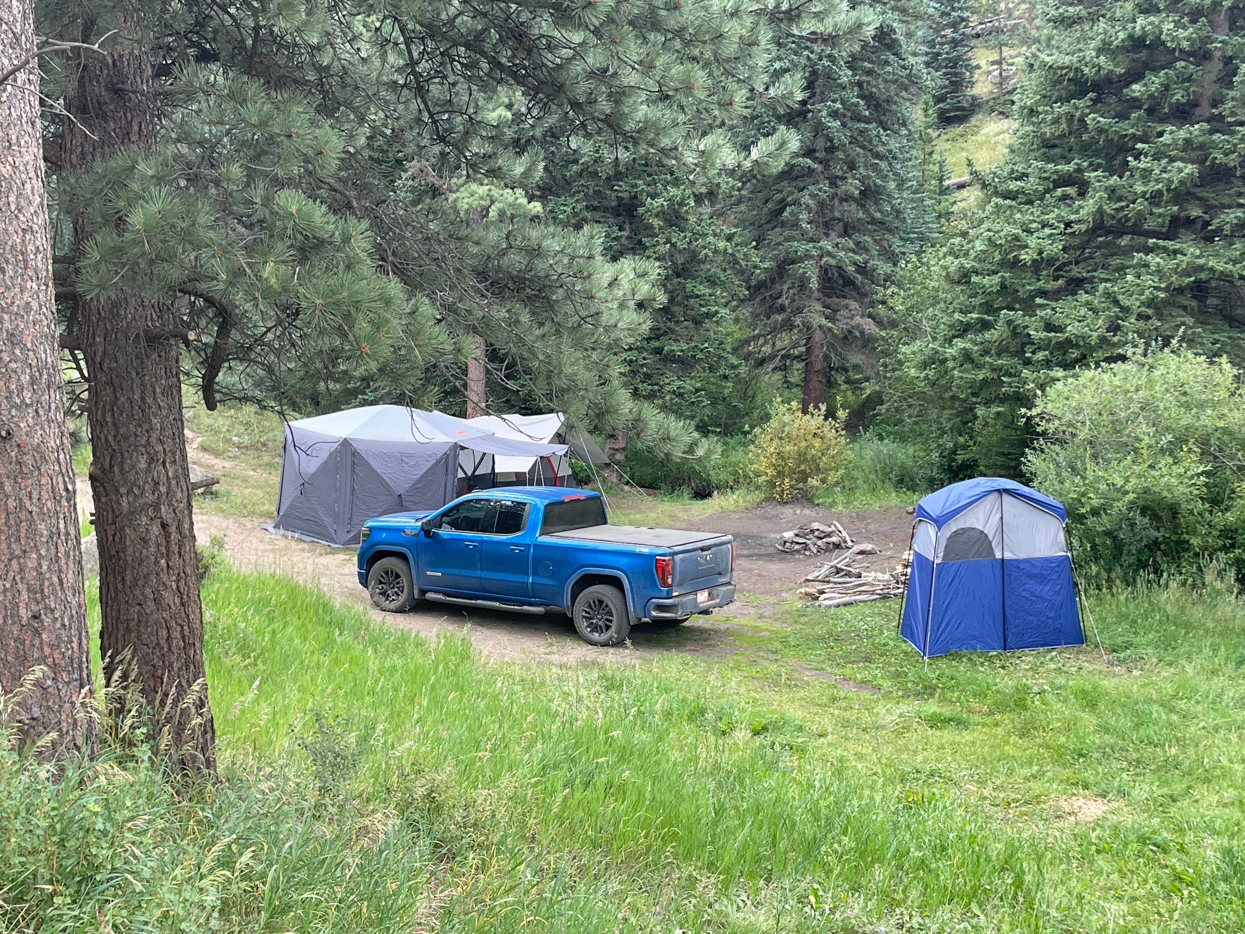 Pingree Road Dispersed Camping | Red Feather Lakes, CO