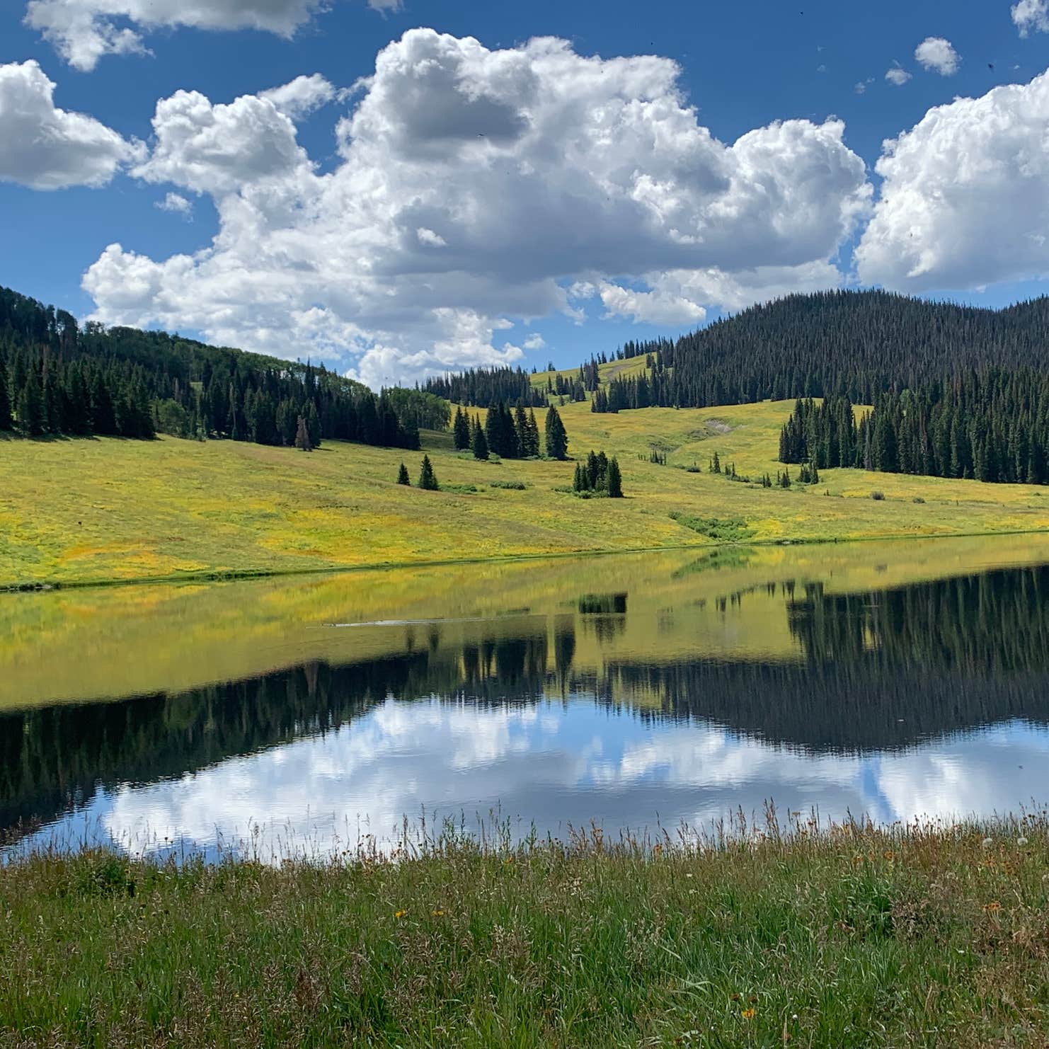 Vaughan Lake Campground | Yampa, Colorado