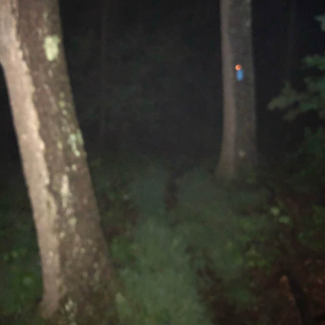 Handsome Lake Campground | Sugar Bay, PA