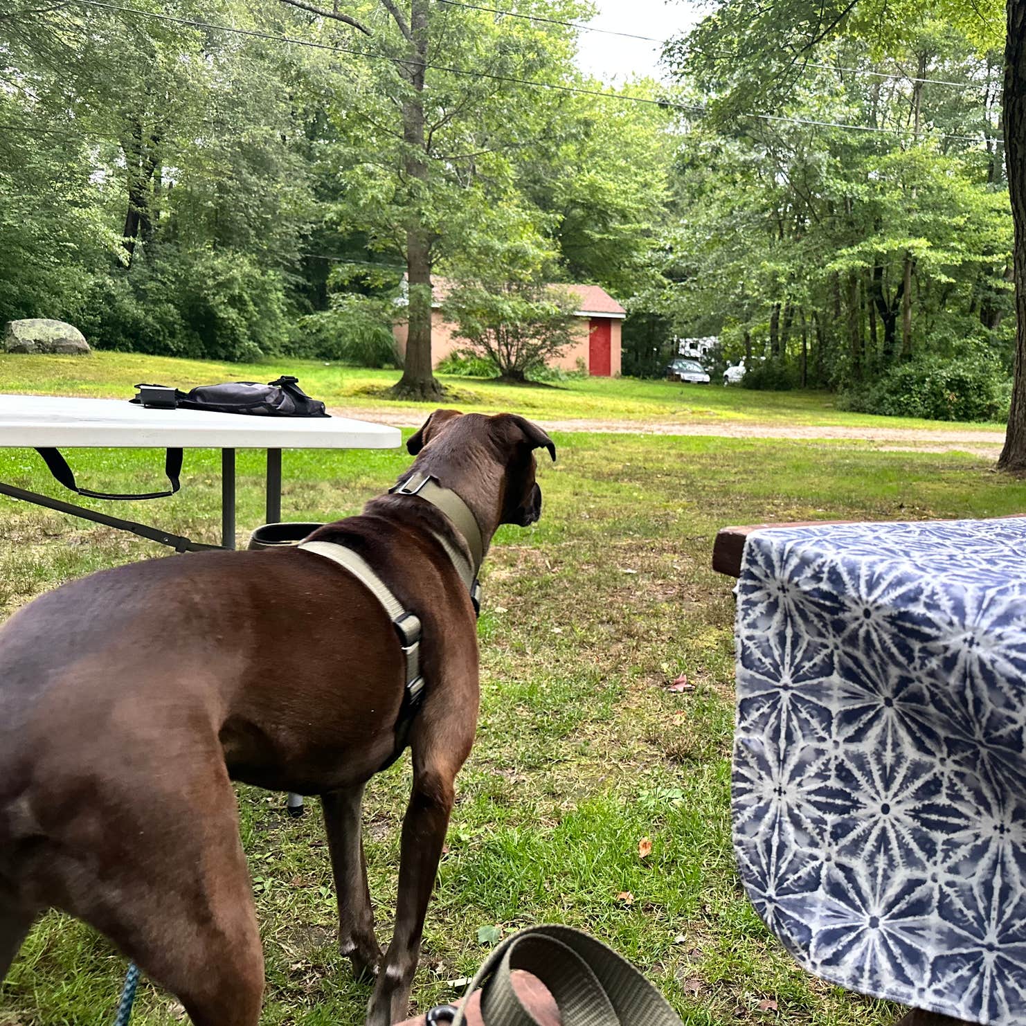 Wawaloam Campground | Richmond, Rhode Island
