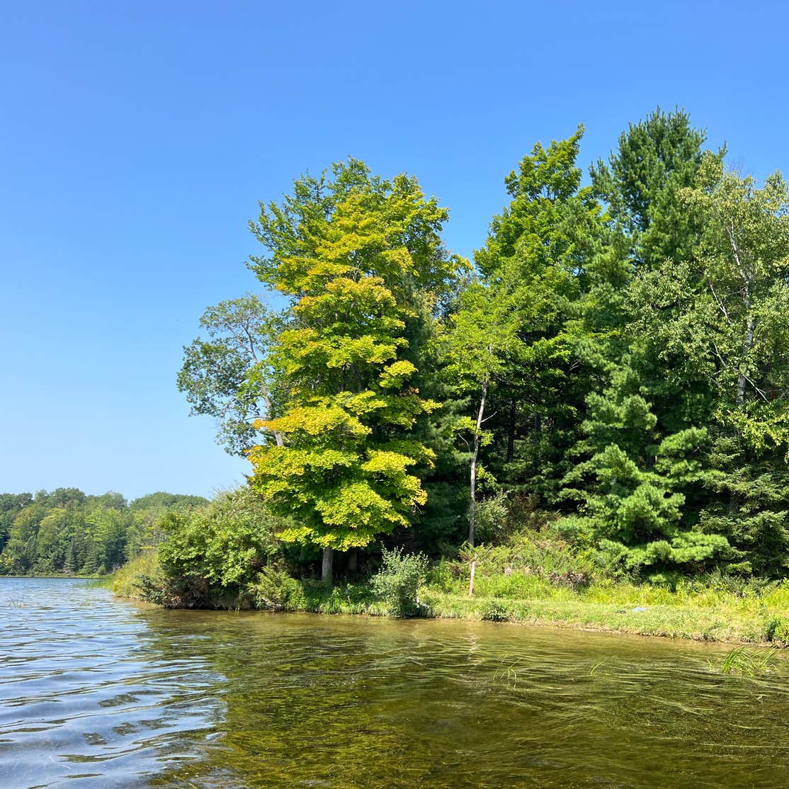 Au Sable River Primitive Camping | Mio, Michigan