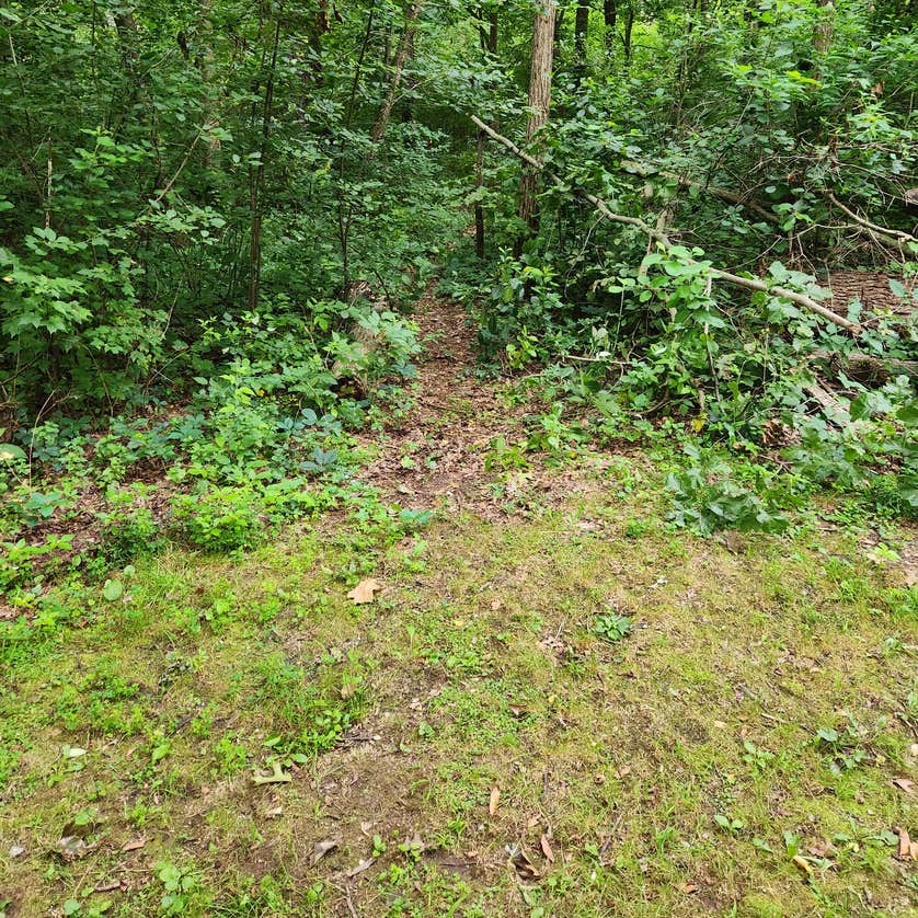 Fort Custer Recreation Area Camping | Augusta, Michigan