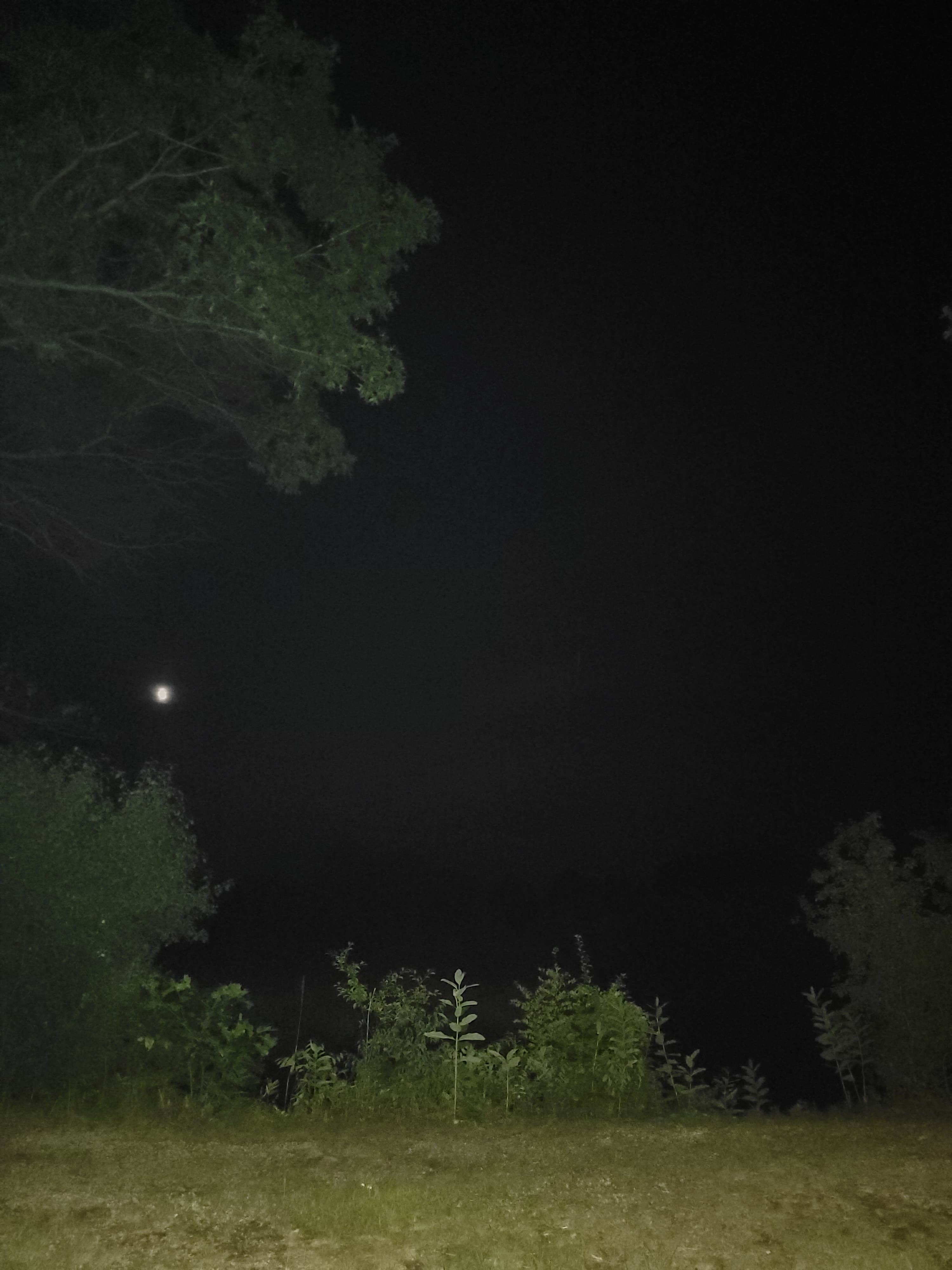 Crystal Lake Campground - Strum | Strum, WI