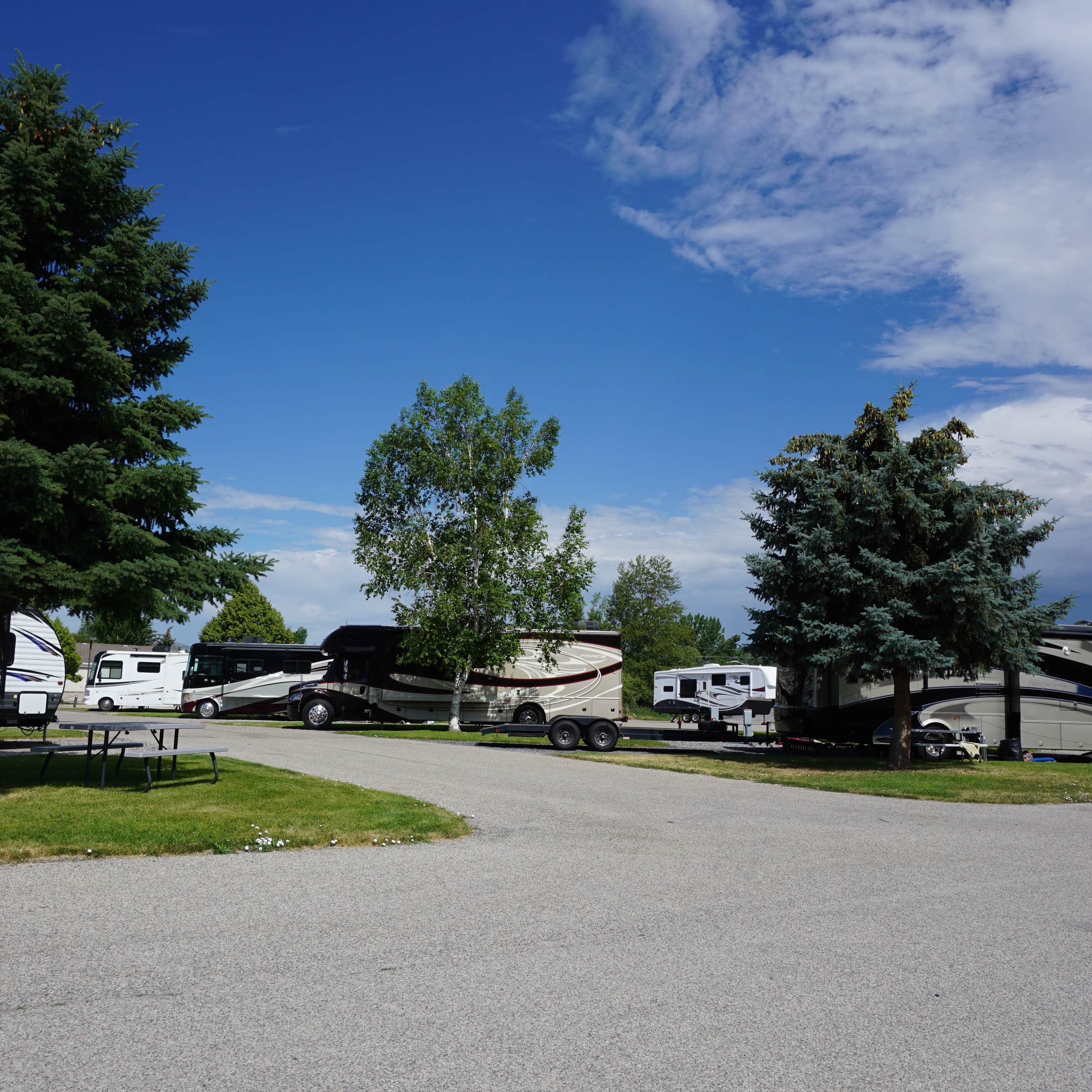Riverside RV Resort Camping | The Dyrt