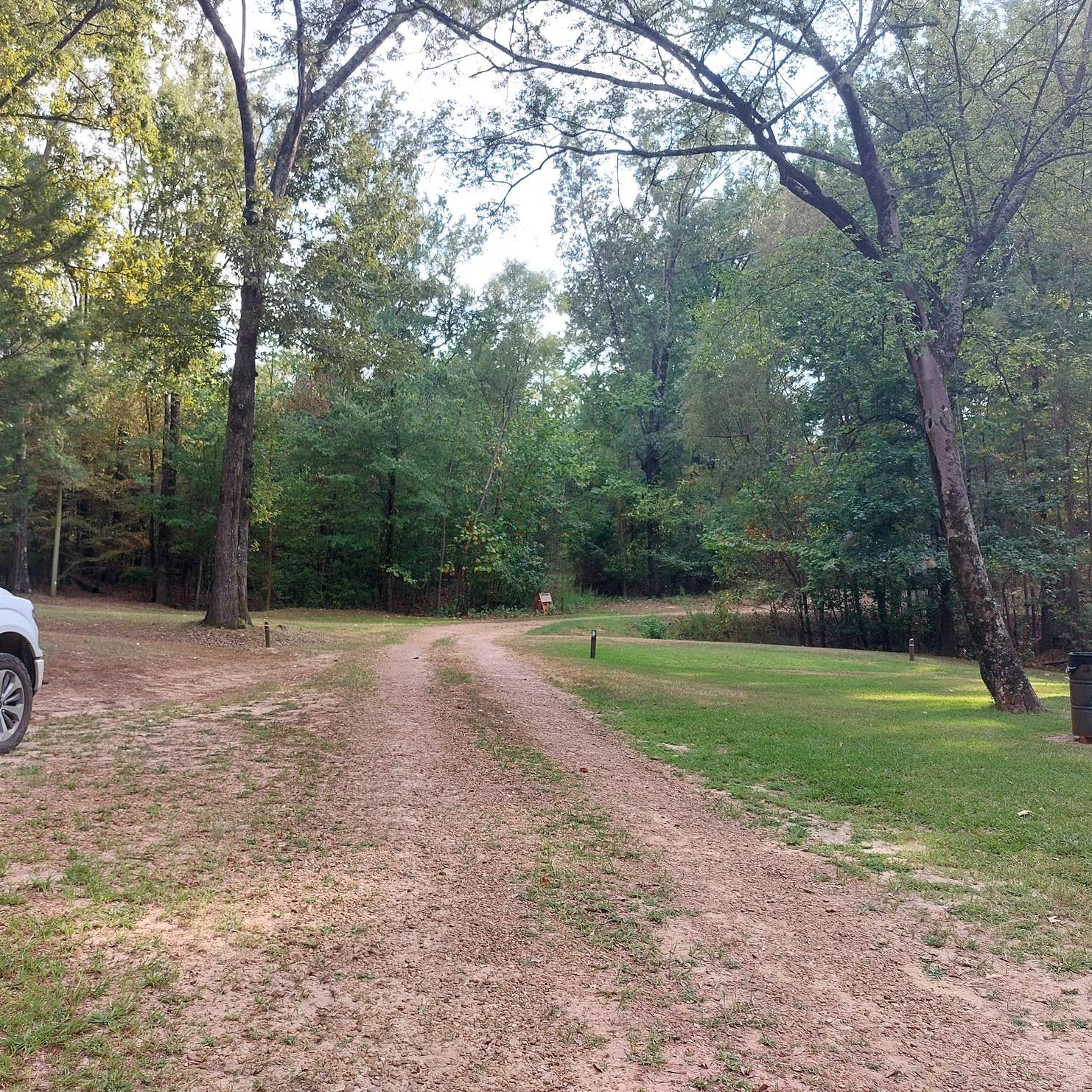 Mississippi Petrified Forest Camping | Flora, MS