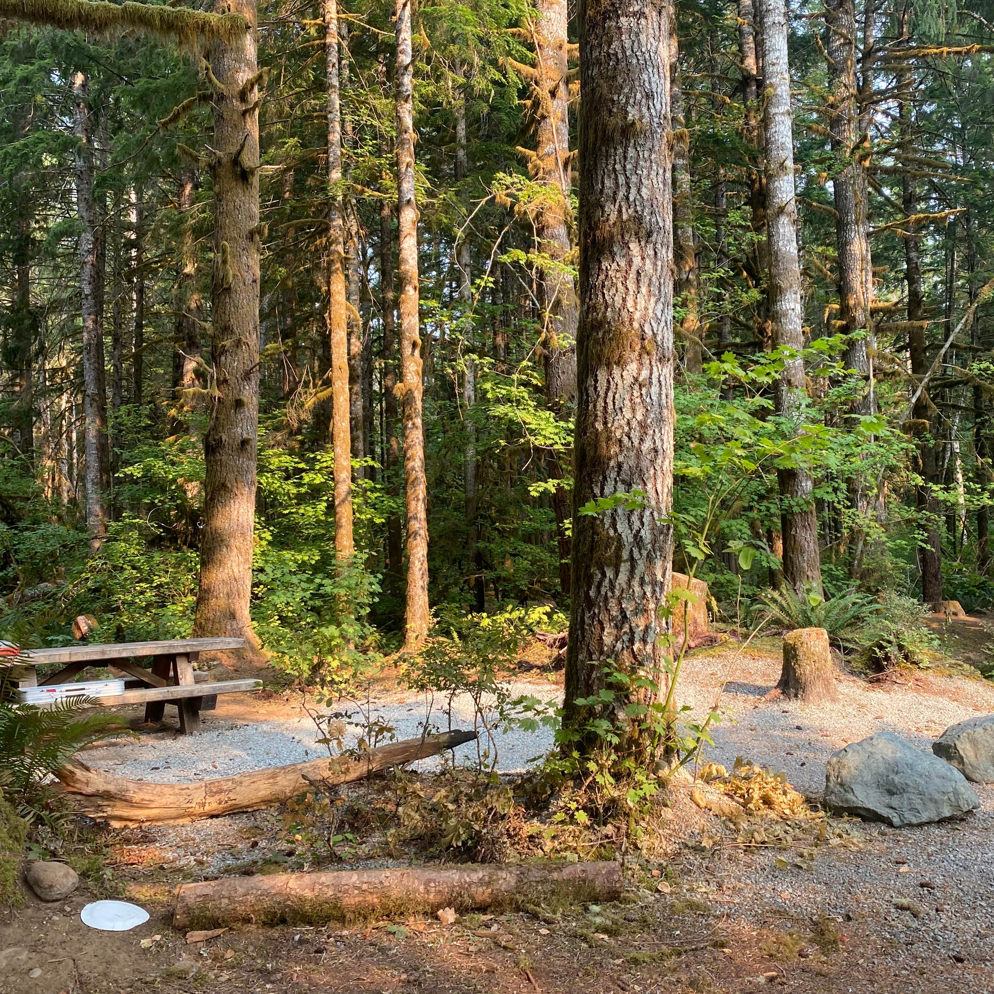 Lower Sandy Dispersed Camp | Concrete, Washington