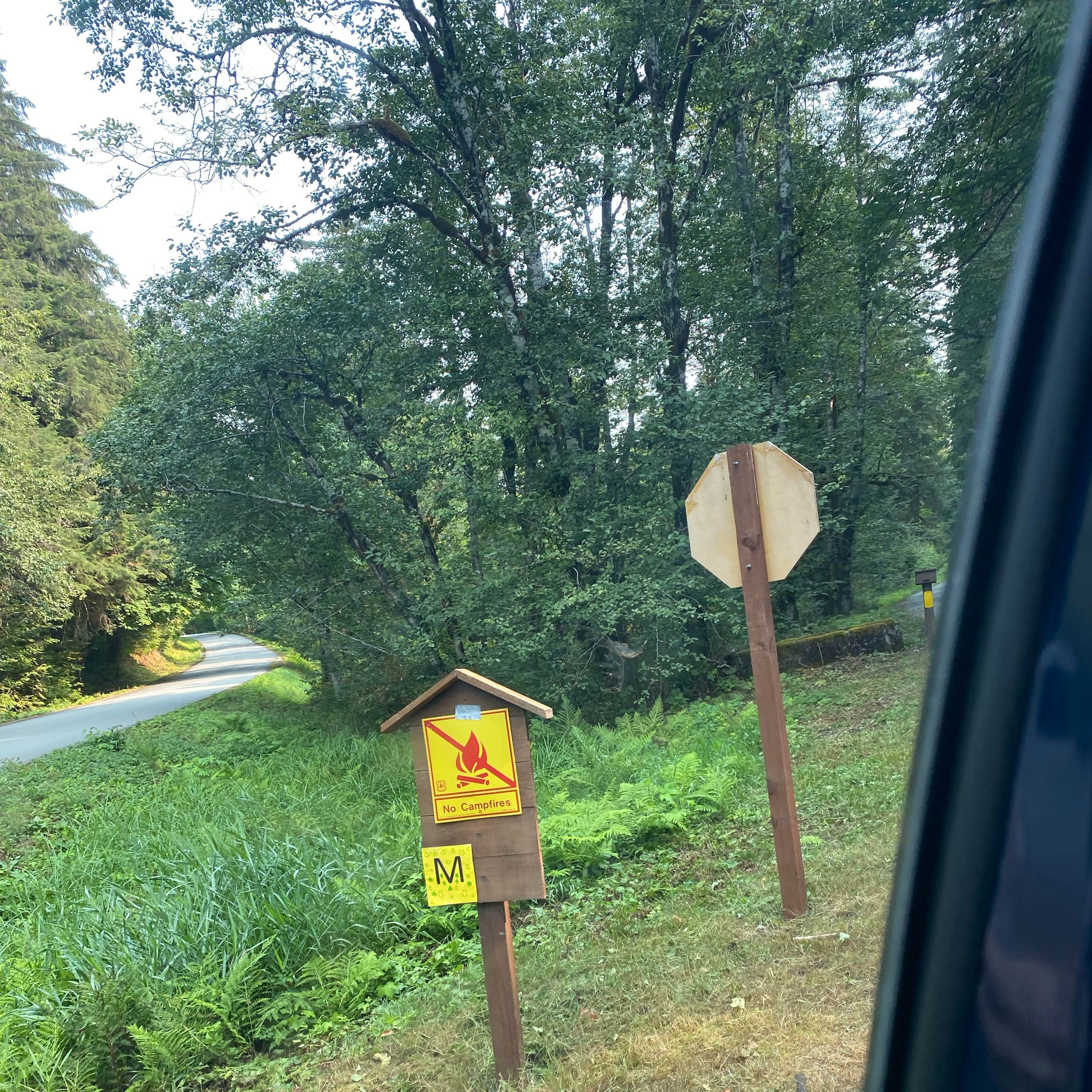 Lower Sandy Dispersed Camp | Concrete, Washington