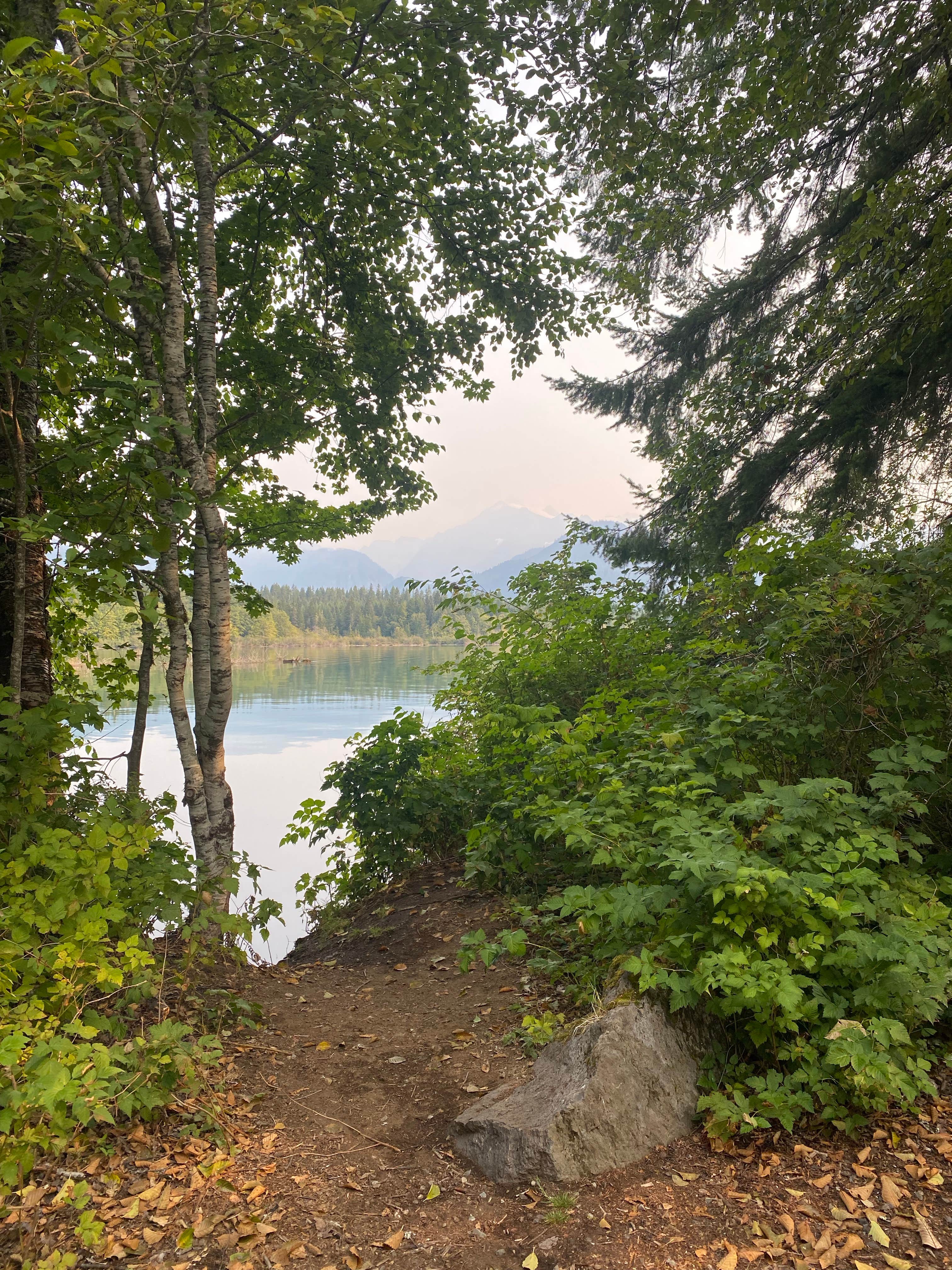 Lower Sandy Dispersed Camp | Concrete, WA