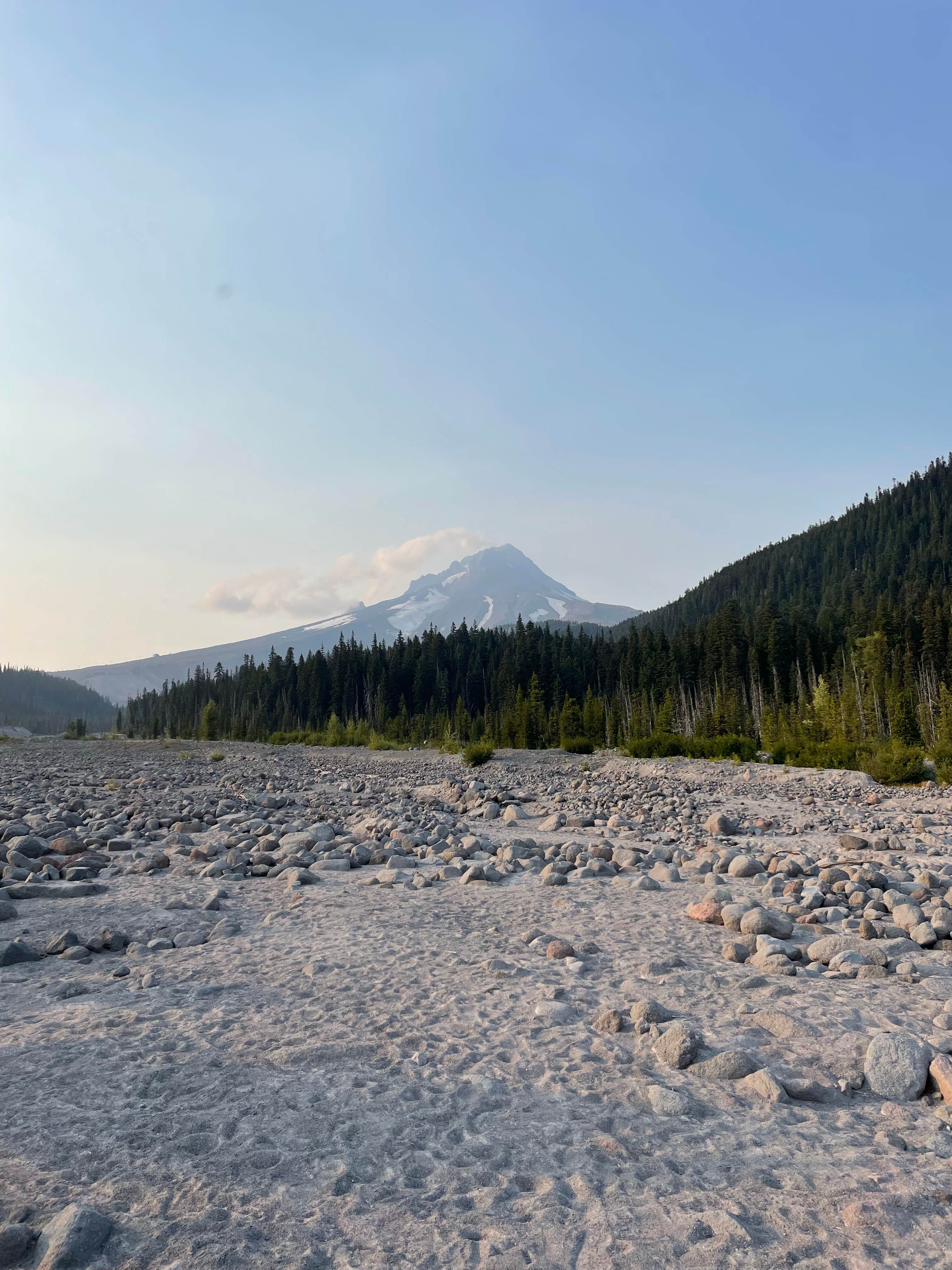 Badger Lake Campground Camping | The Dyrt
