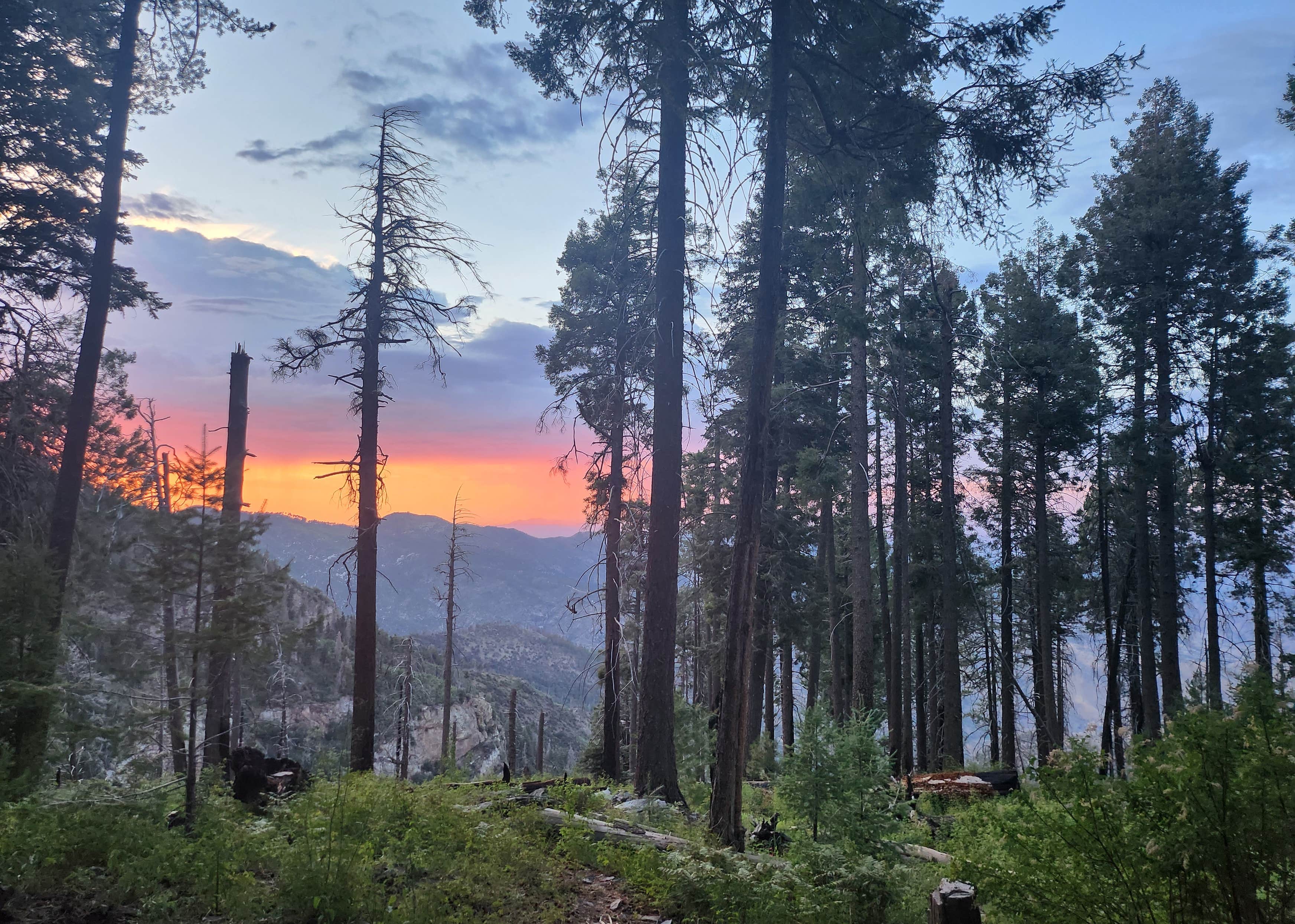Mount Bigelow Dispersed Camping | The Dyrt