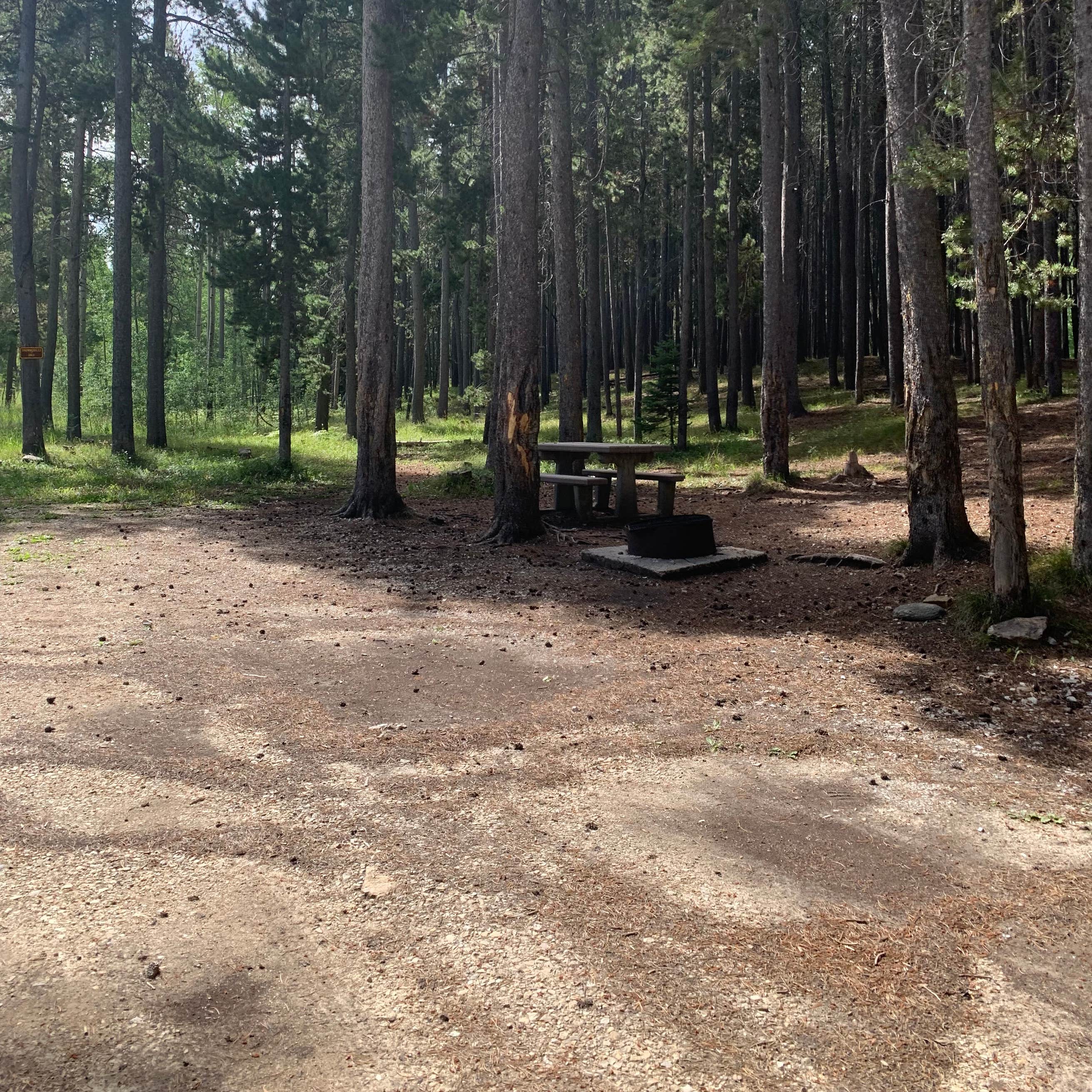 Elkhorn Springs Campground Camping | The Dyrt