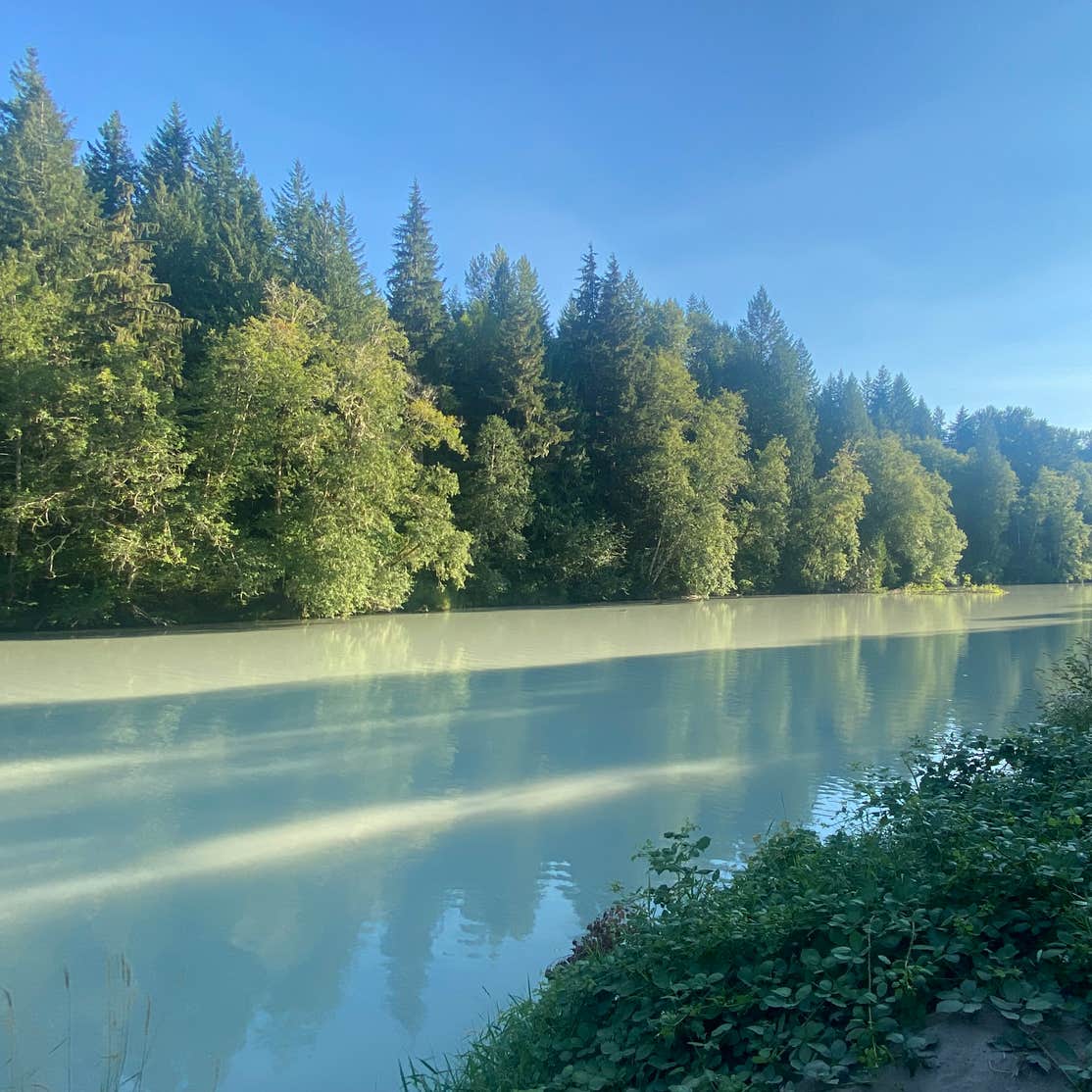 Cowlitz Falls Campground | Randle, WA