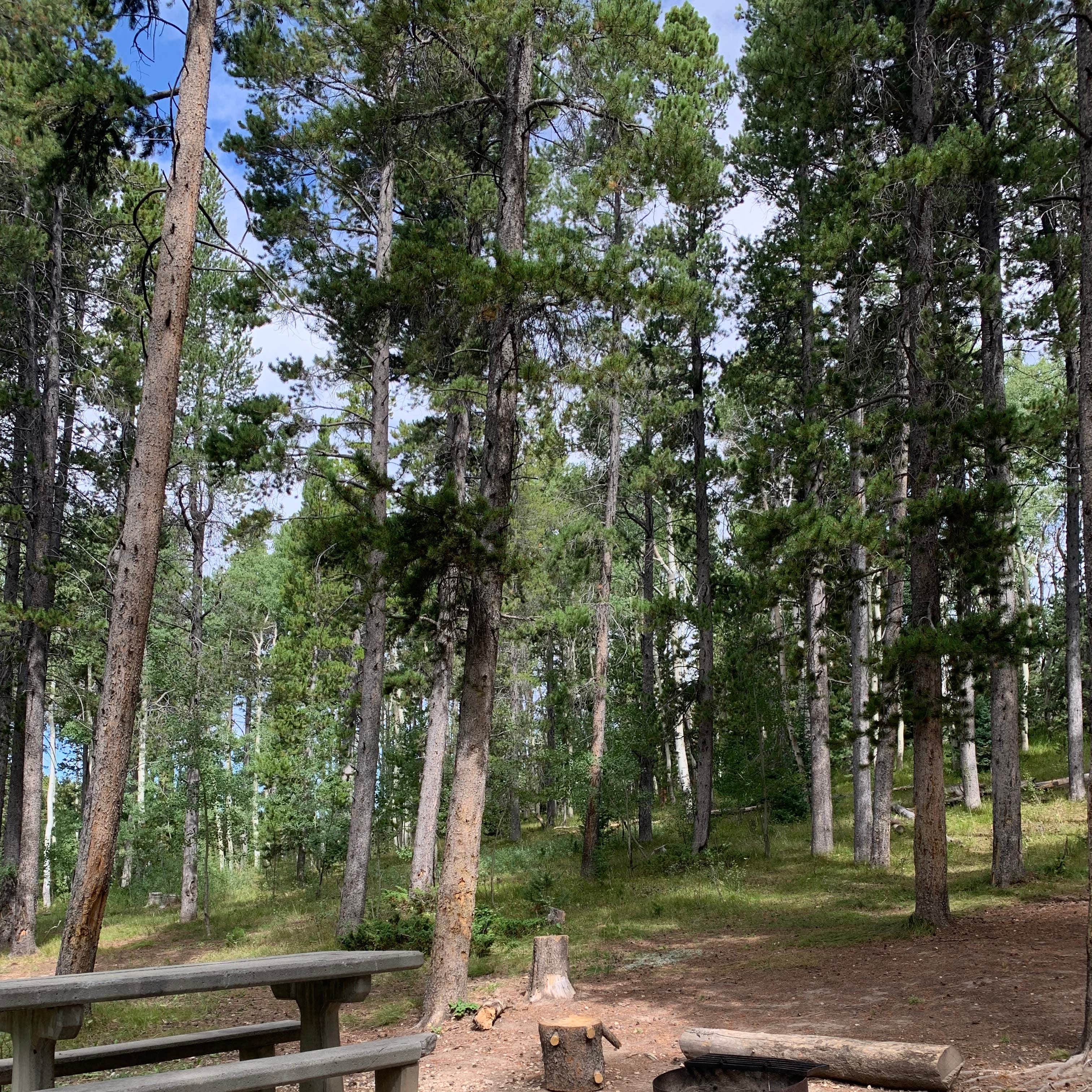 DeerHaven Campground | Casper, Wyoming