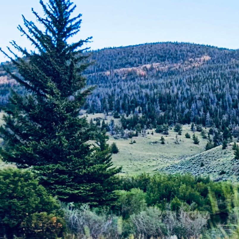 Whiskey Basin WMA - Trail Meadow Camping | Dubois, Wyoming