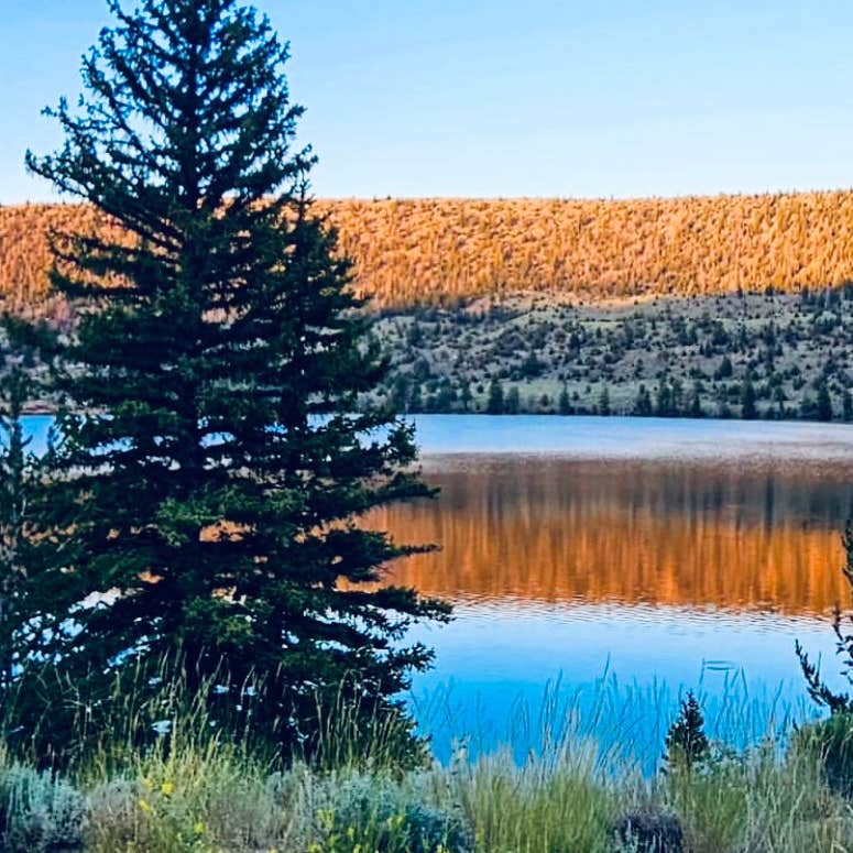 Whiskey Basin WMA - Trail Meadow Camping | Dubois, Wyoming