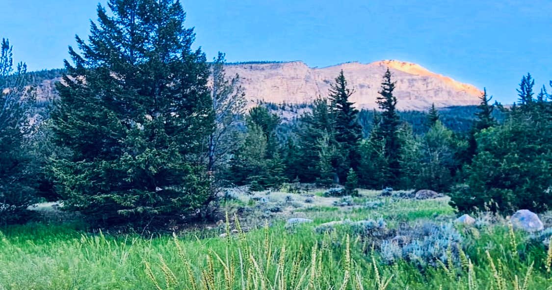Whiskey Basin WMA - Trail Meadow Camping | Dubois, WY