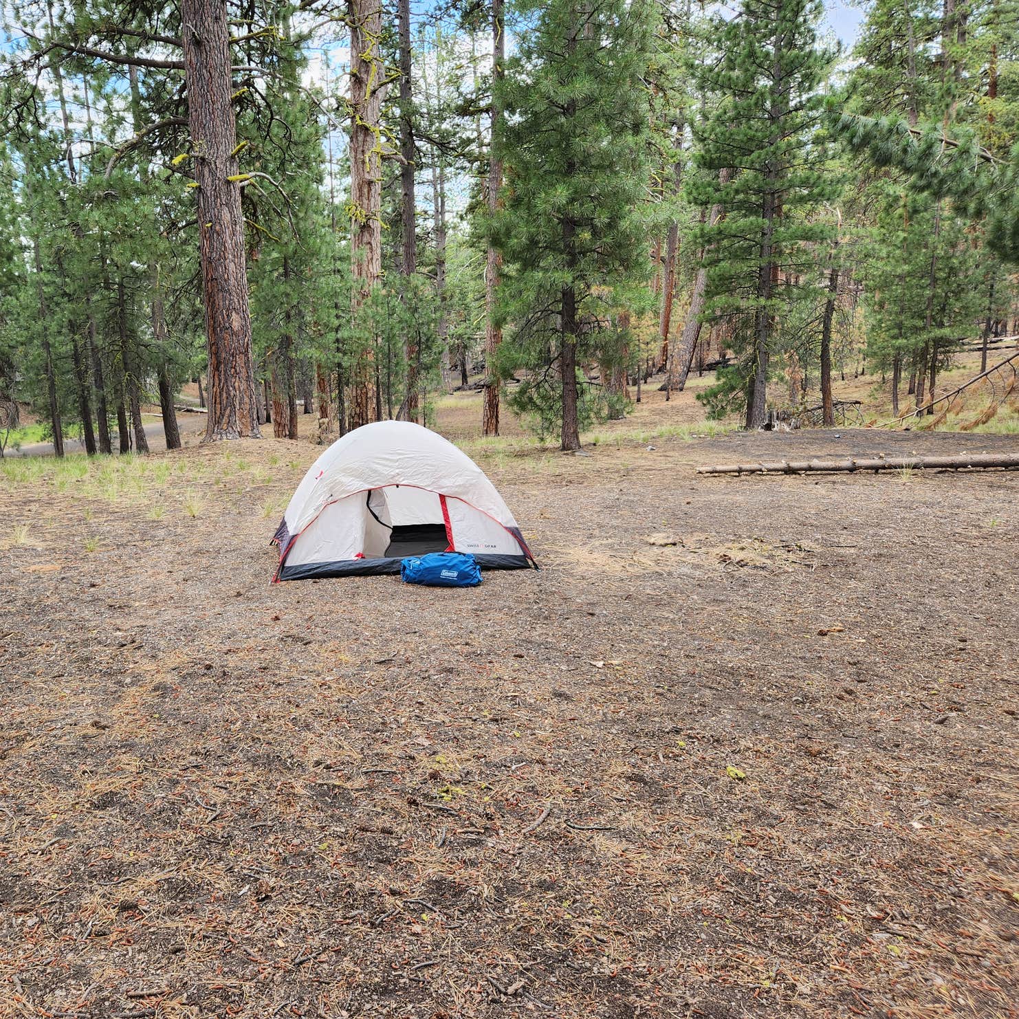 Butte Lake Campground — Lassen Volcanic National Park | Old Station ...