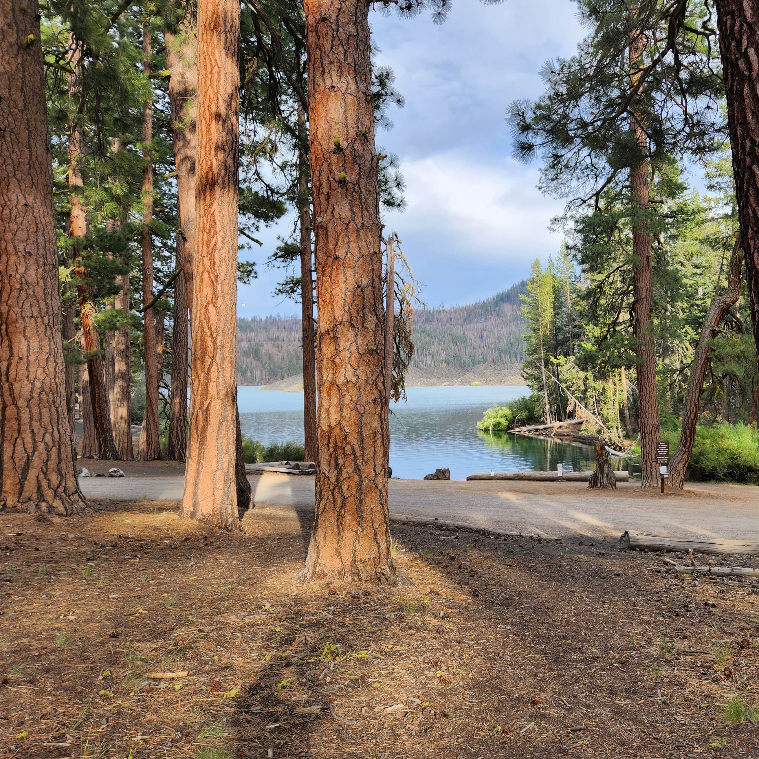 Butte Lake Campground — Lassen Volcanic National Park | Old Station ...