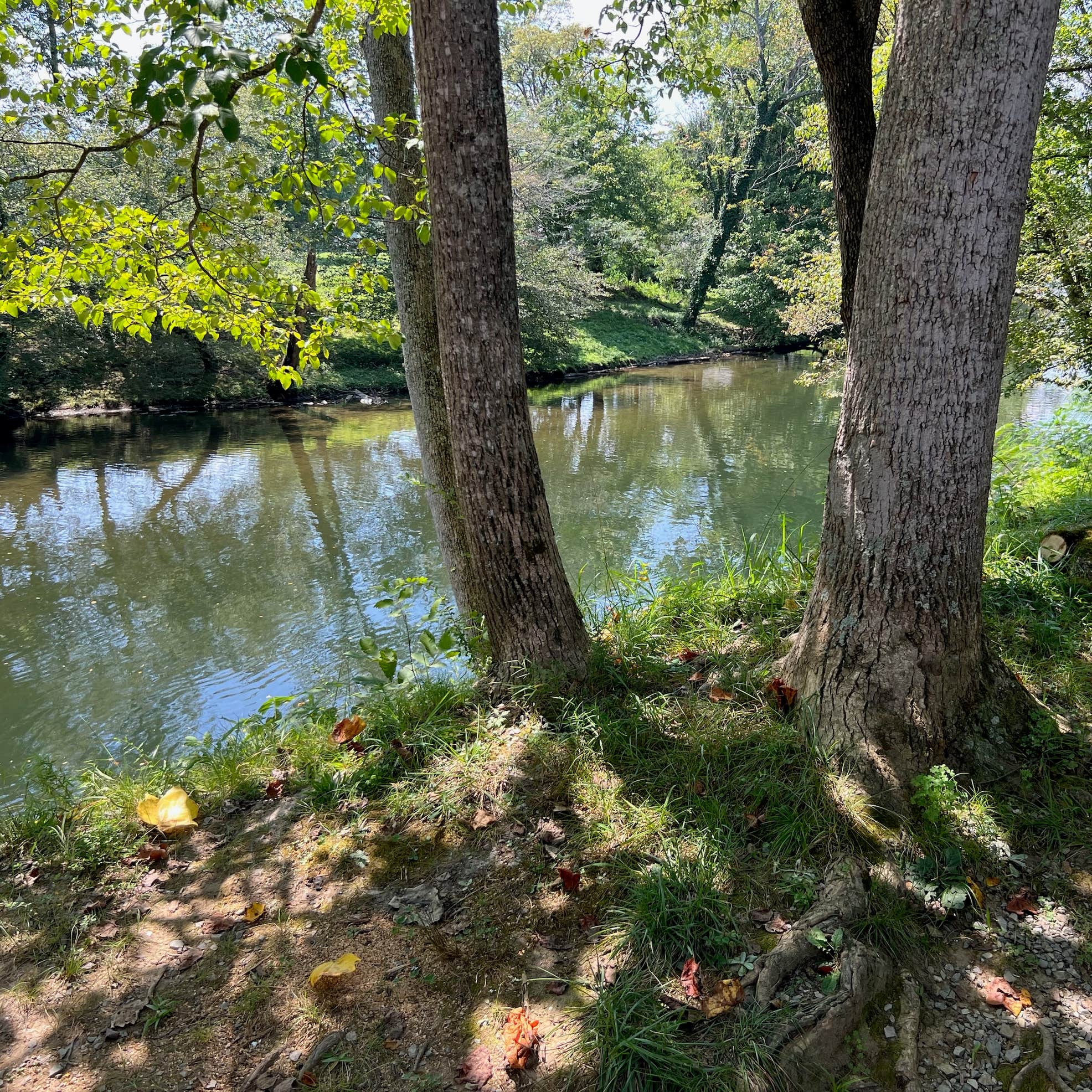 Little River Campground | Townsend, Tennessee