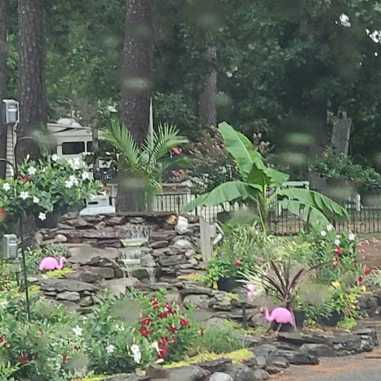 Americamps RV Resort | Ashland, Virginia