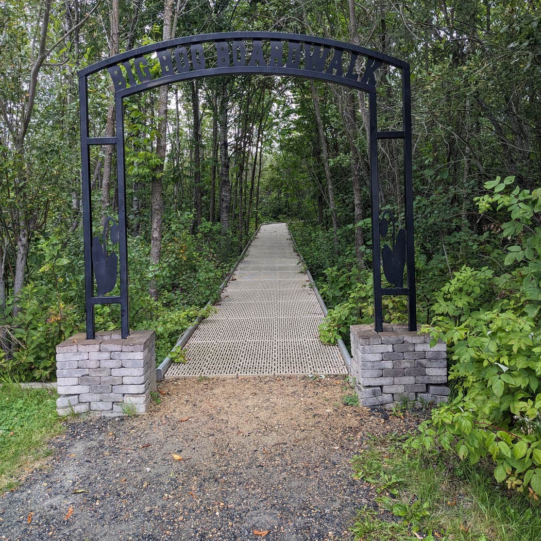 Big Bog State Recreation Area Camping | Waskish, MN