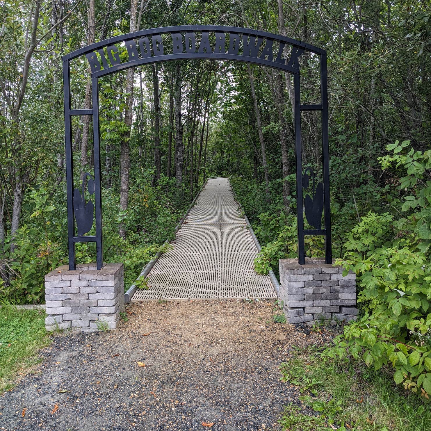 Big Bog State Recreation Area Campground | Blackduck, Minnesota