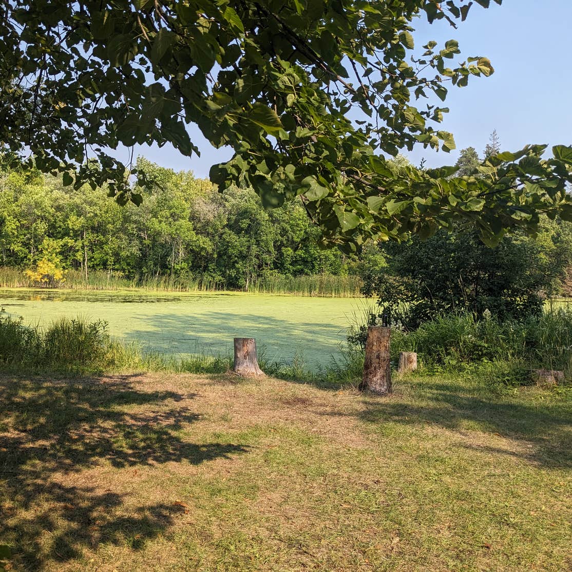 Big Bog State Recreation Area Campground | Blackduck, Minnesota