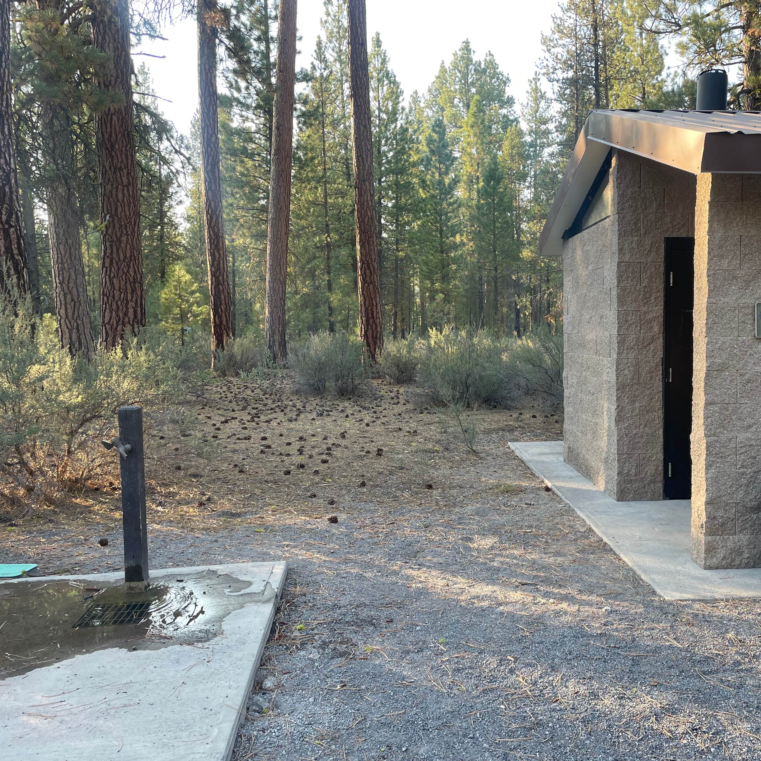 Williamson River Campground | Chiloquin, OR