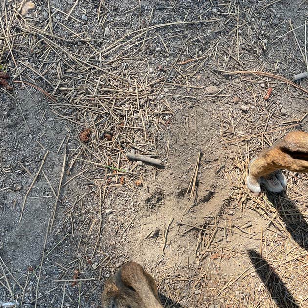 Williamson River Campground | Chiloquin, OR