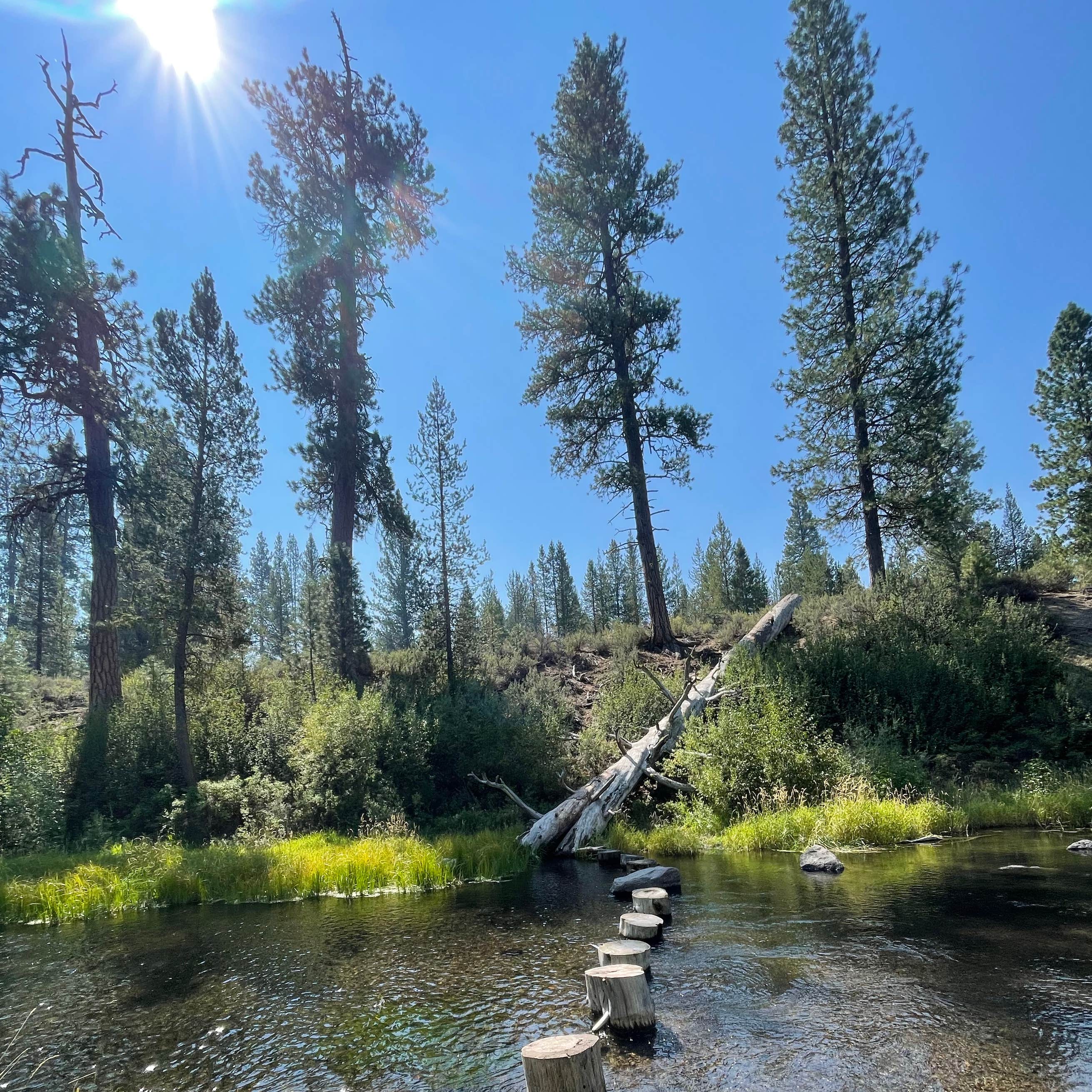 Williamson River Campground | Chiloquin, Oregon
