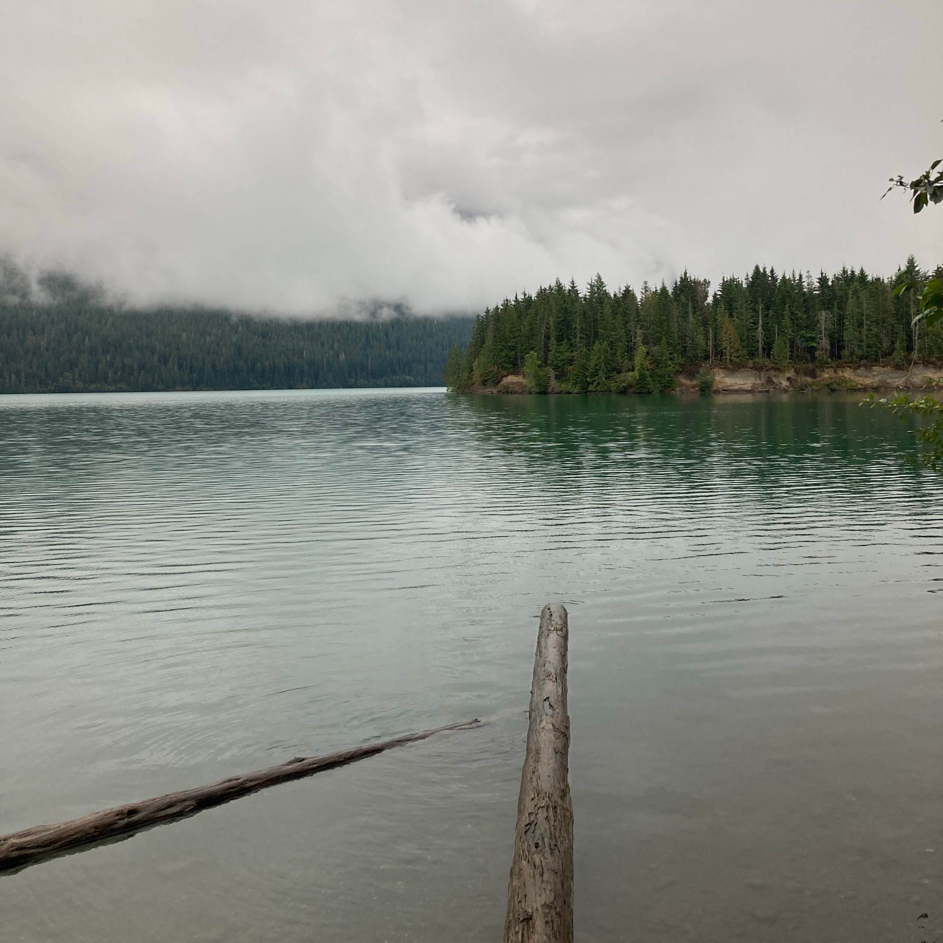 Lower Sandy Dispersed Camp | Concrete, Washington