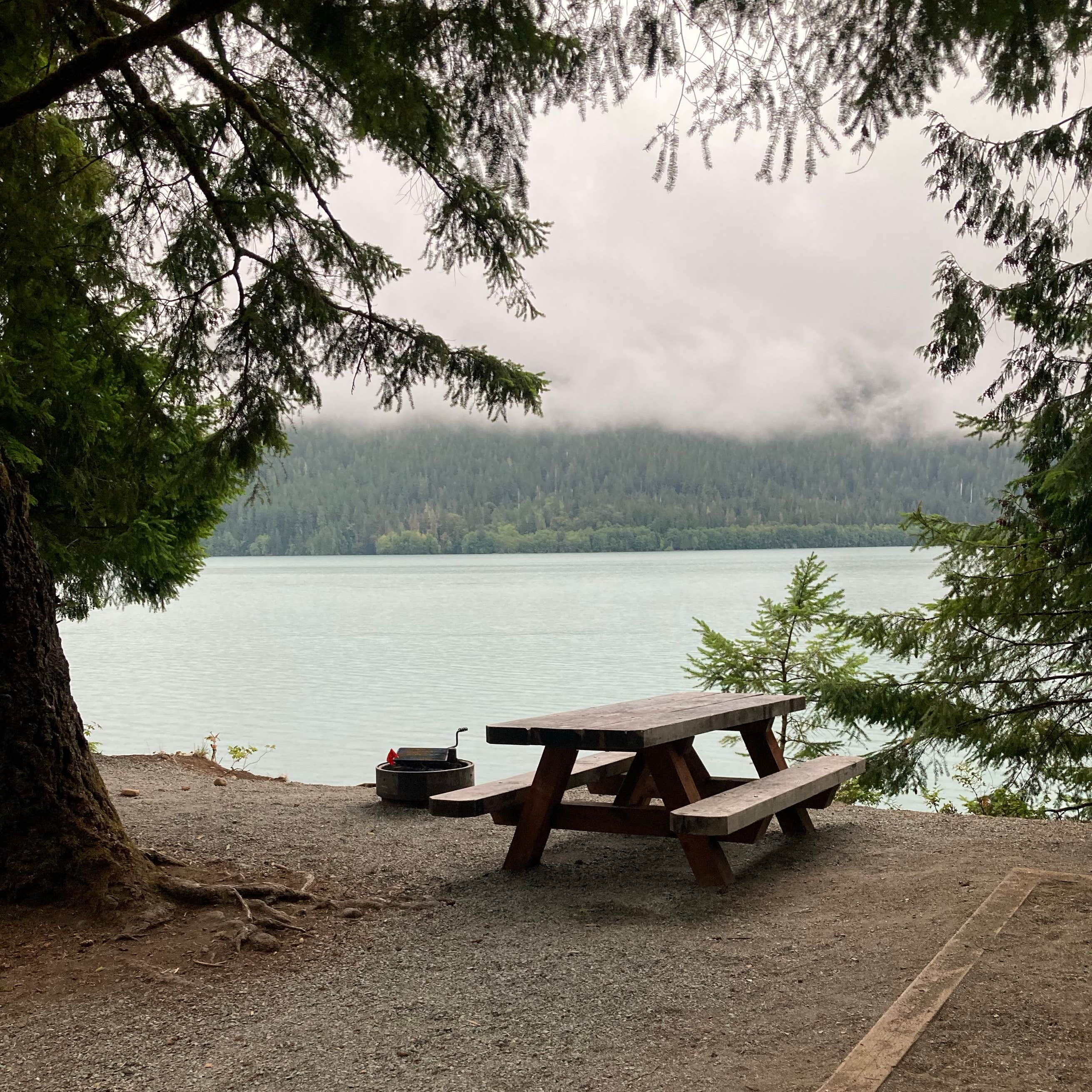 Lower Sandy Dispersed Camp | Concrete, Washington